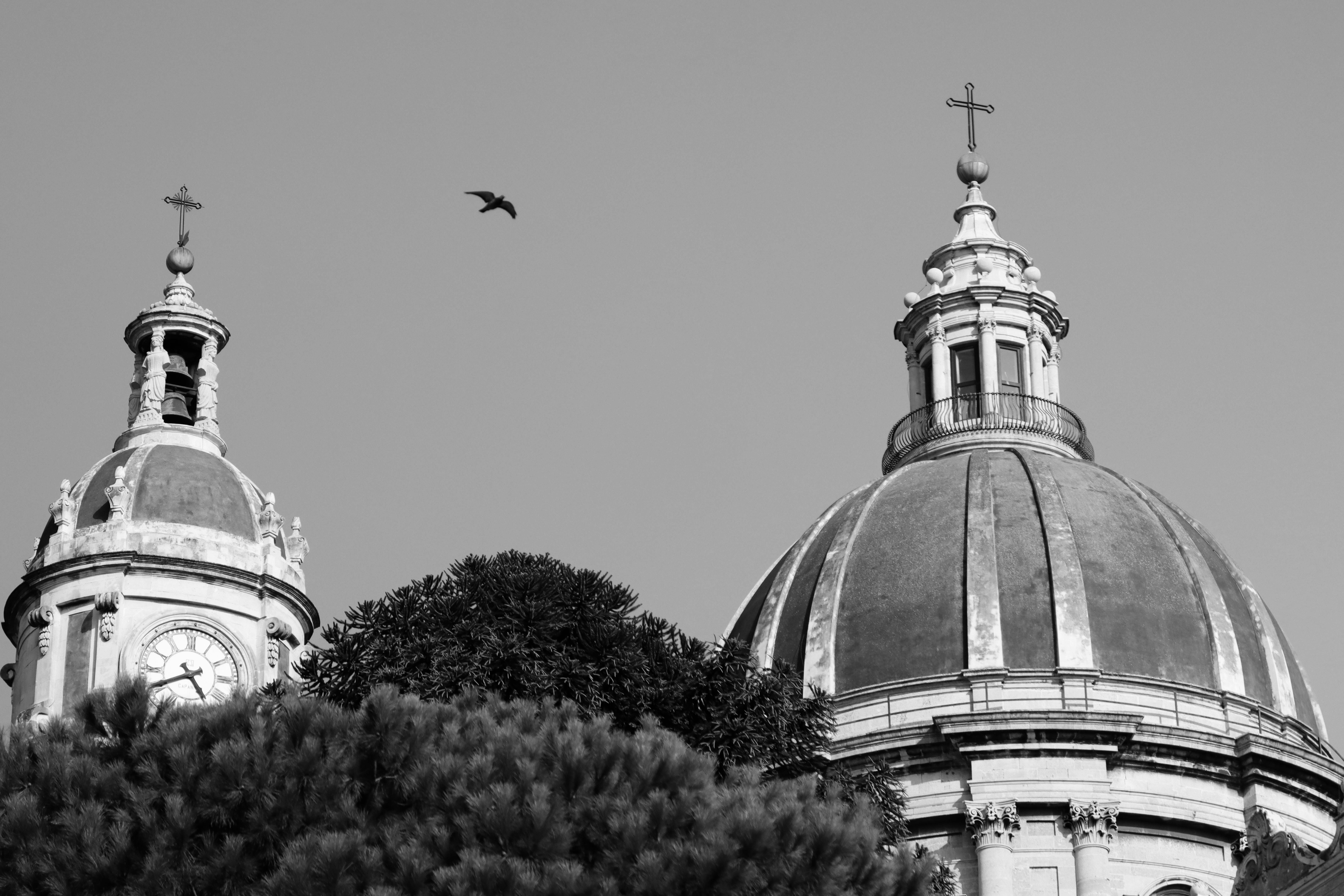 Flying Butress Church Photos, Download The BEST Free Flying Butress ...