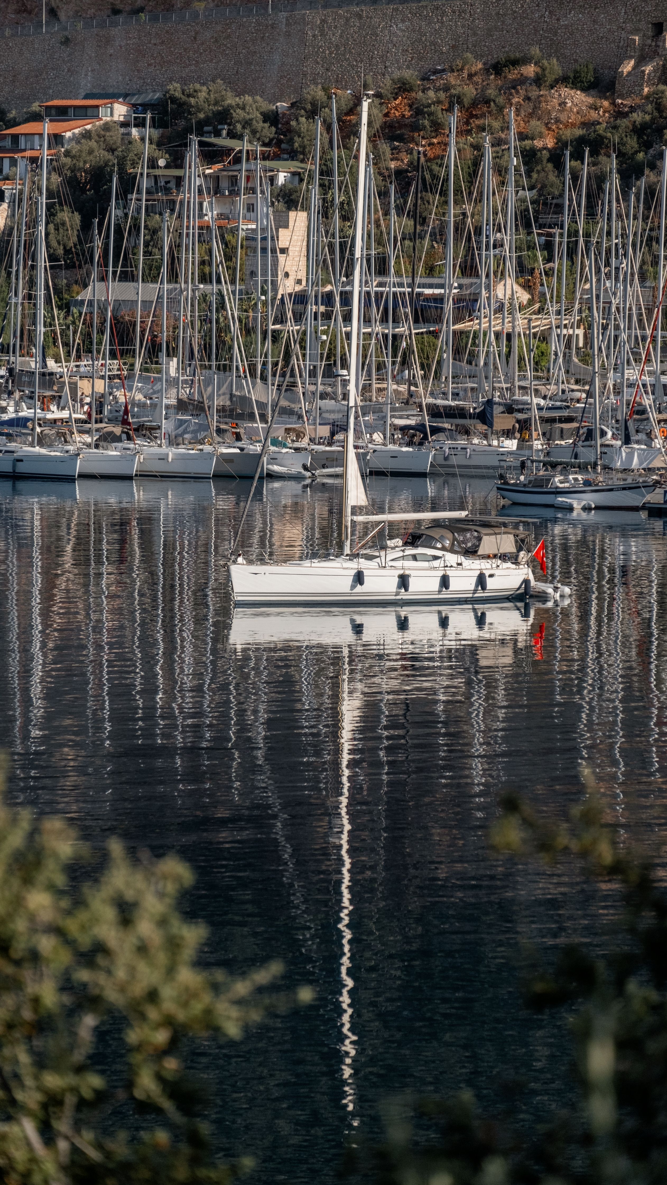 Sailboat Leaving the Marina Full of Boats · Free Stock Photo