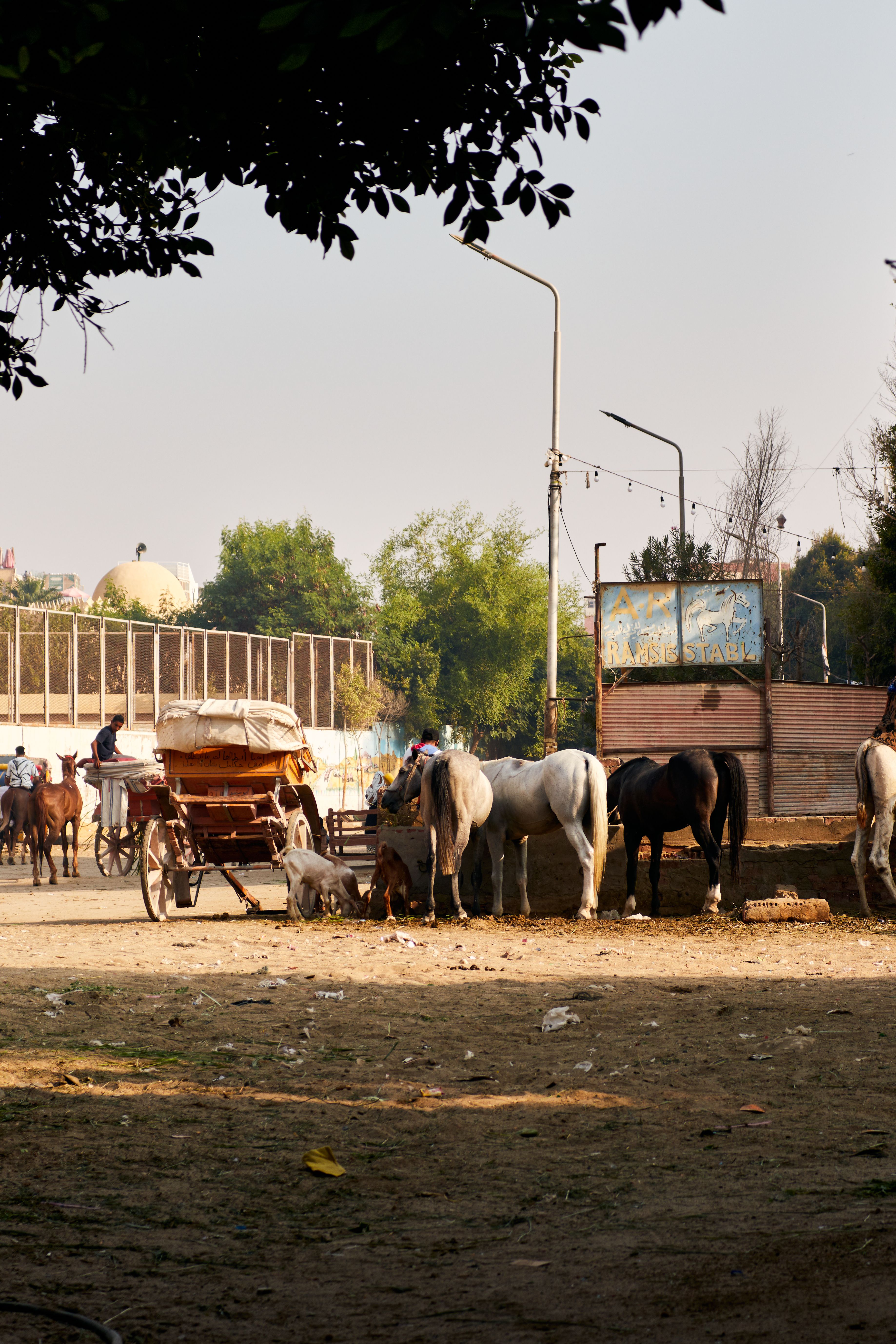 Hippodrome Constantinople Photos, Download The BEST Free Hippodrome ...