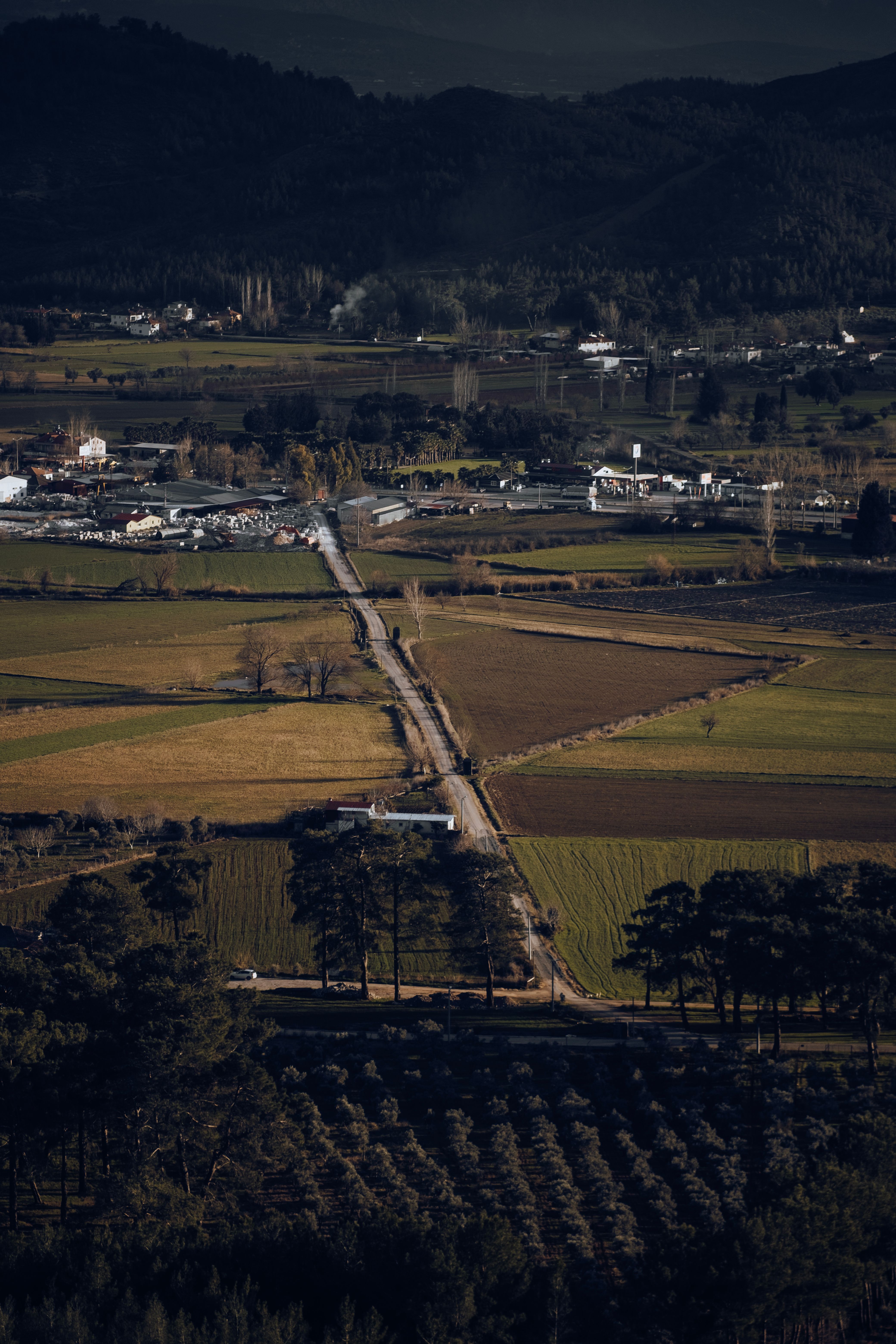 Houses and Plantations in Rural Landscape · Free Stock Photo