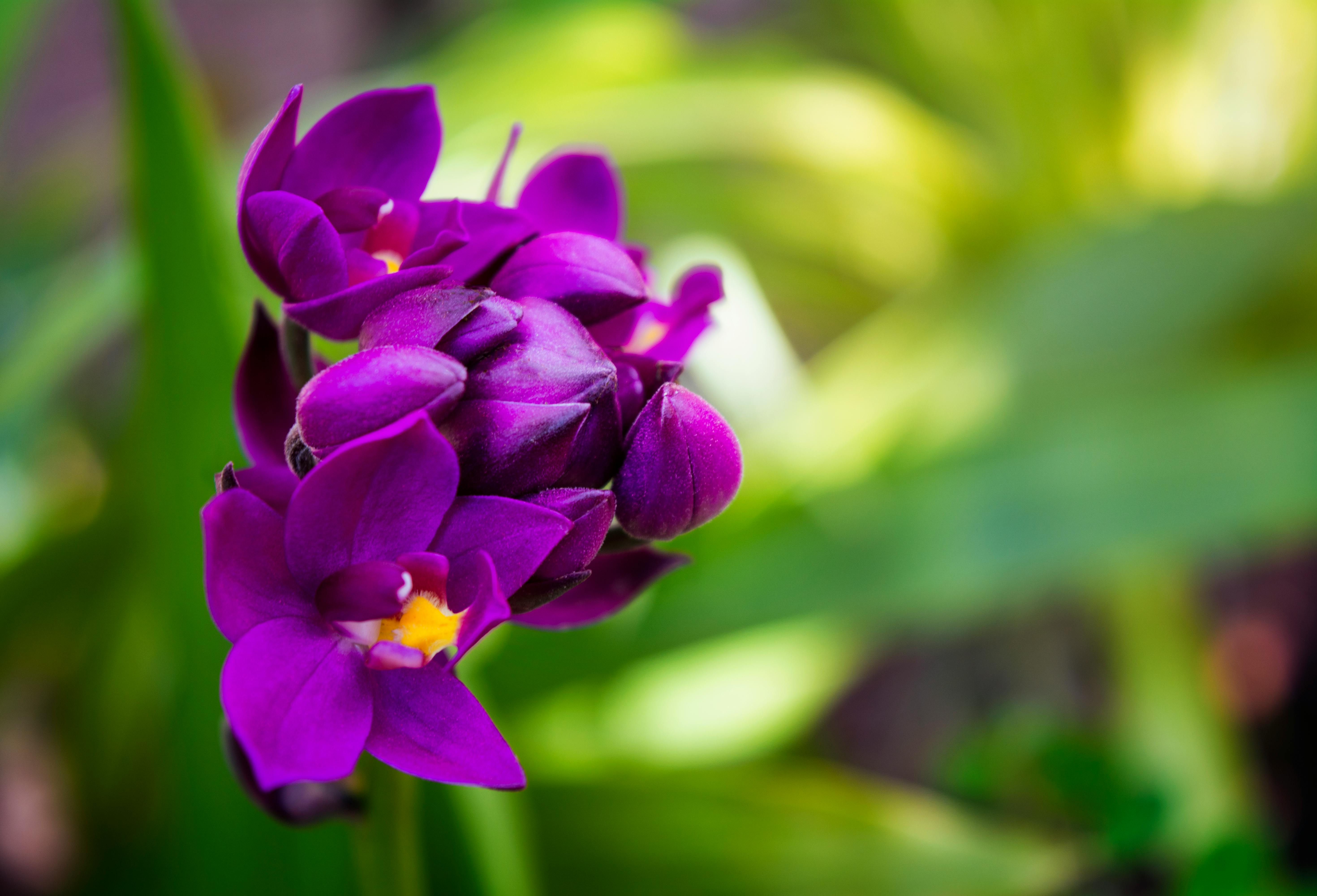 Alessandro Santos - Photography