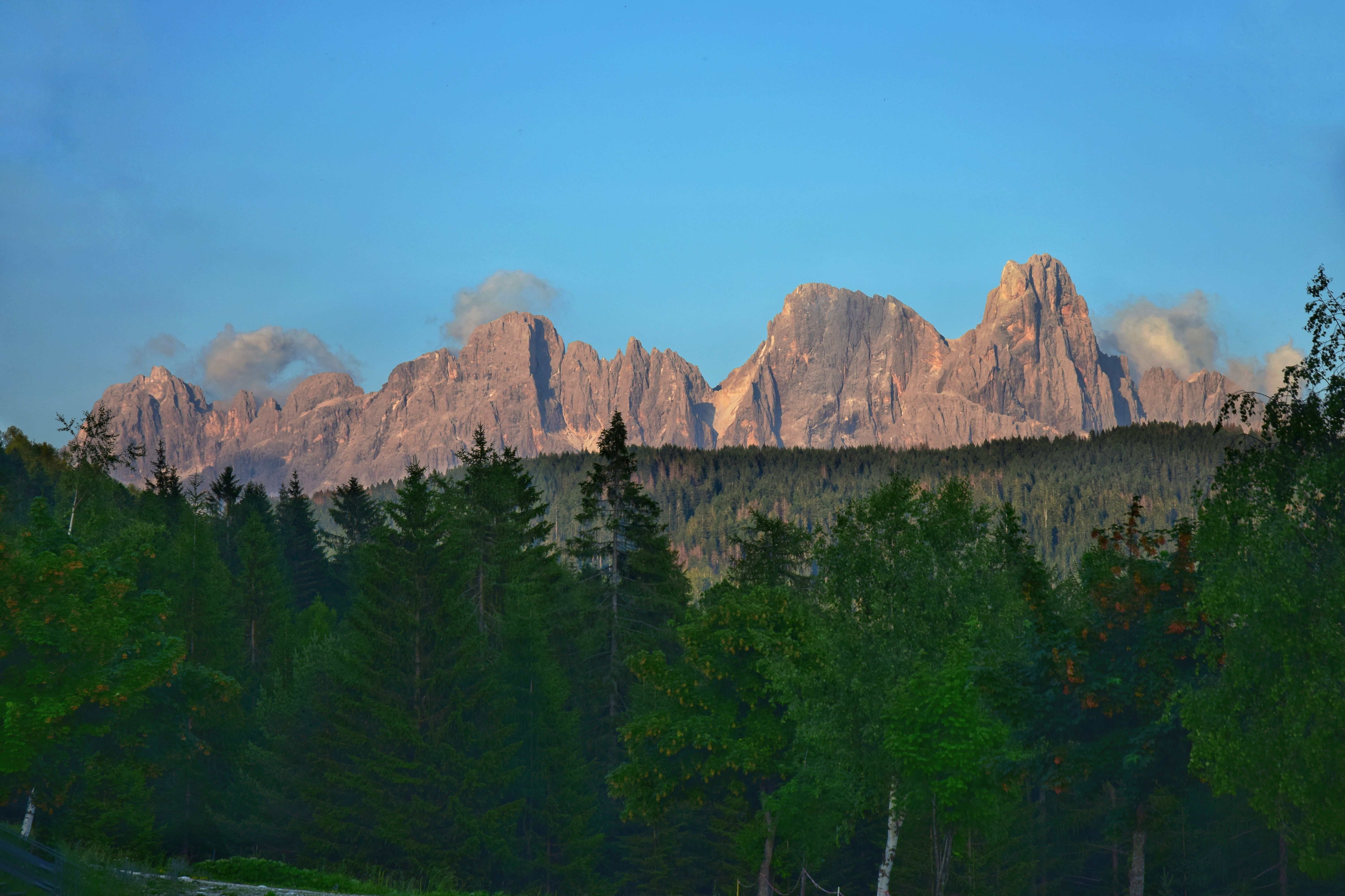 Základová fotografie na téma alpský, alpy, borovice, catinaccio ...