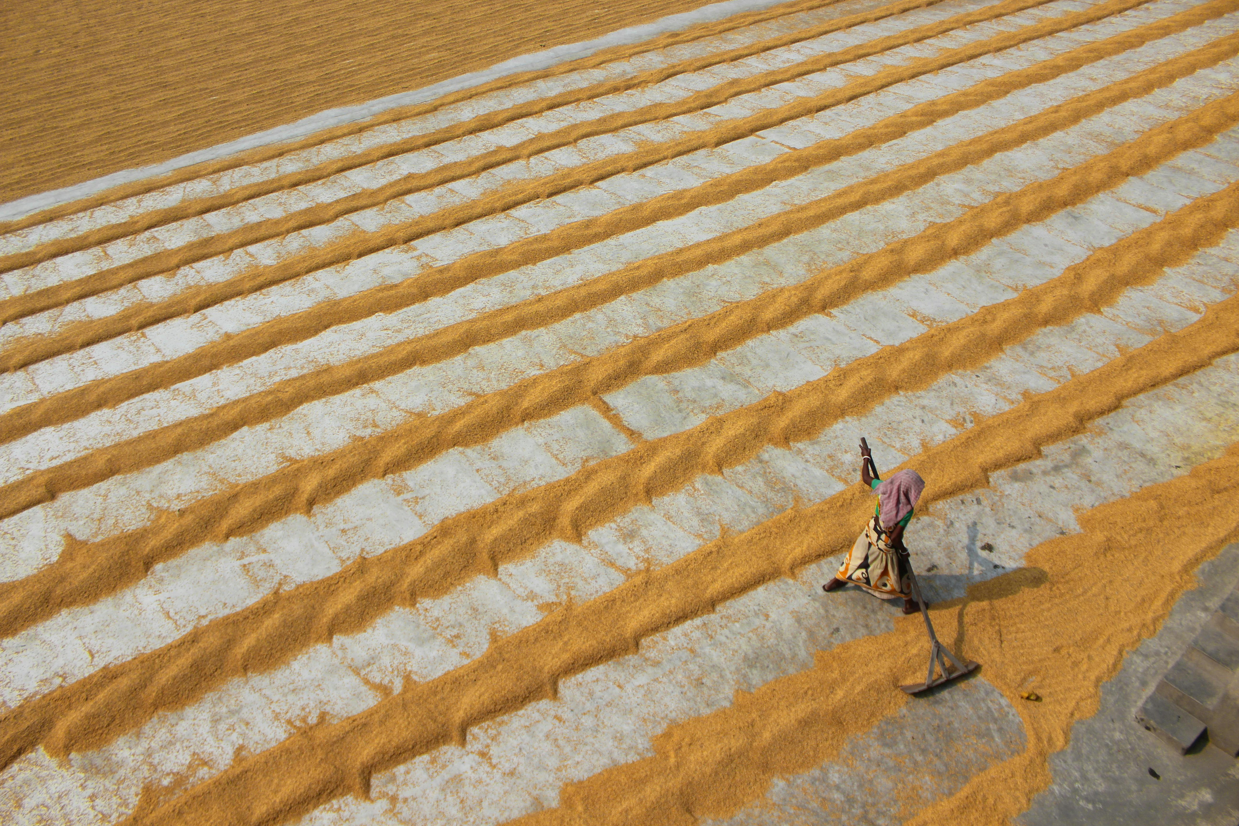 Rural patterns 11. · Free Stock Photo