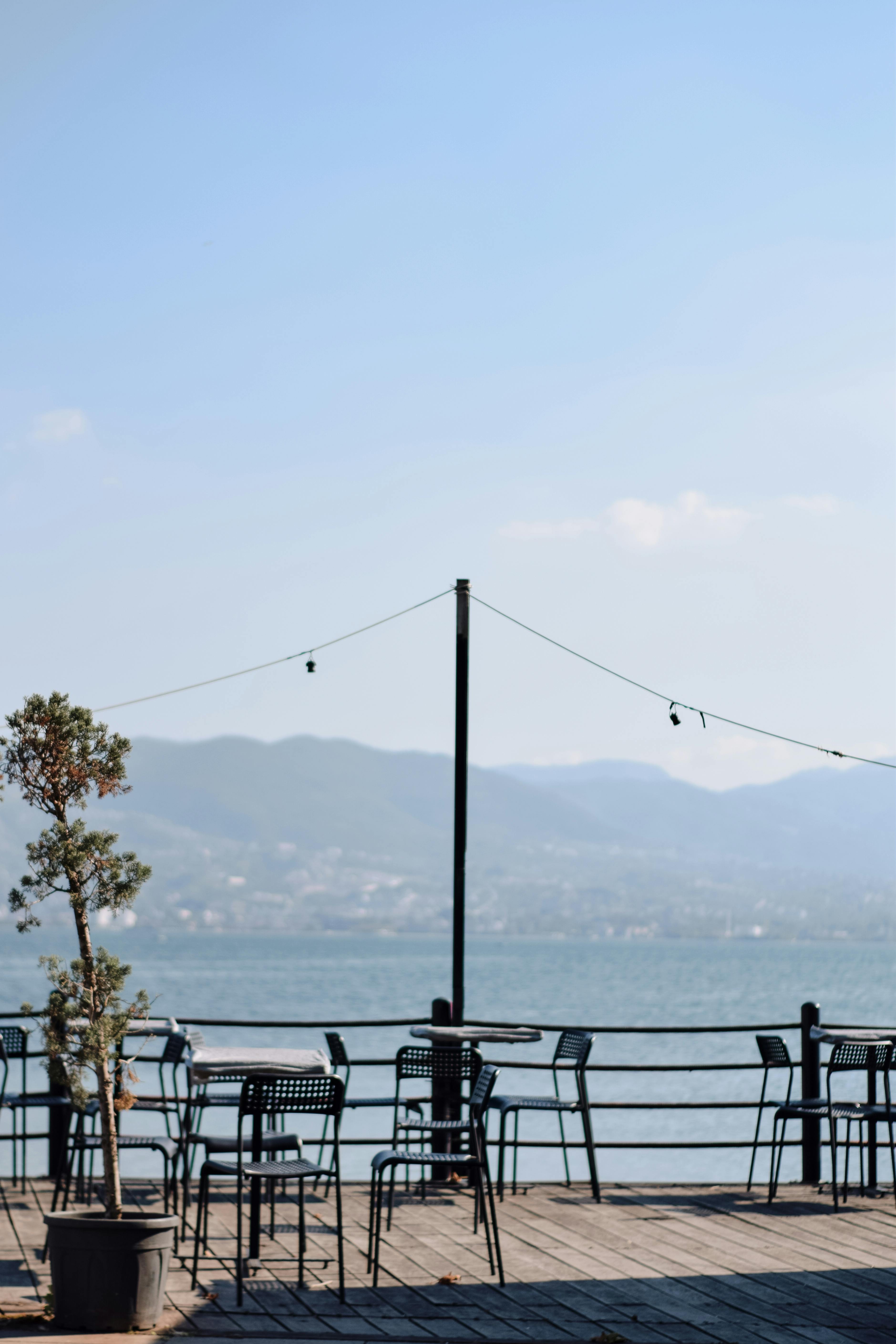 Marula Tree Photos, Download The BEST Free Marula Tree Stock Photos ...