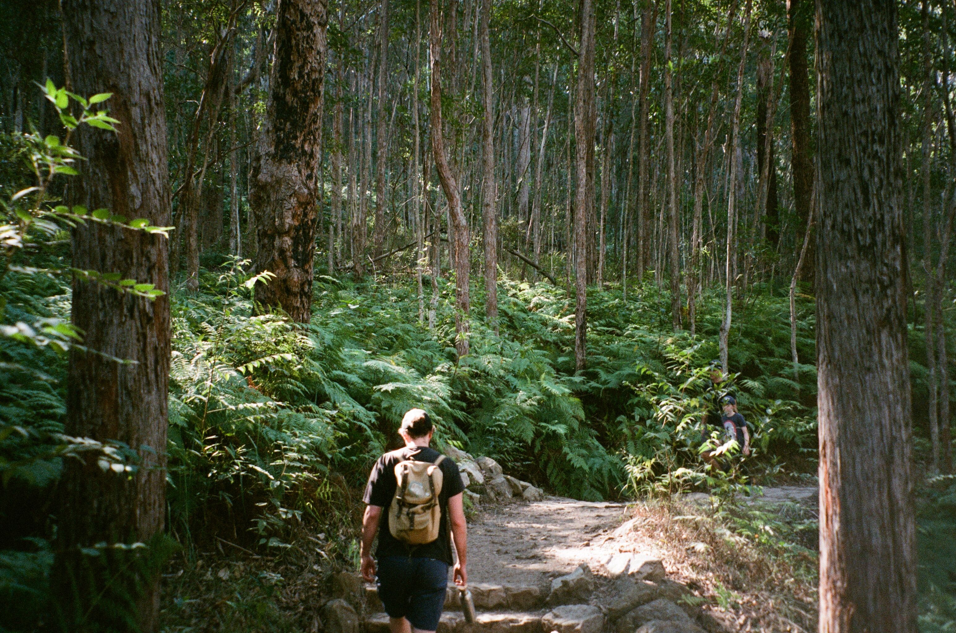 Foto de stock gratuita sobre acampada, actividad al aire libre, al aire ...