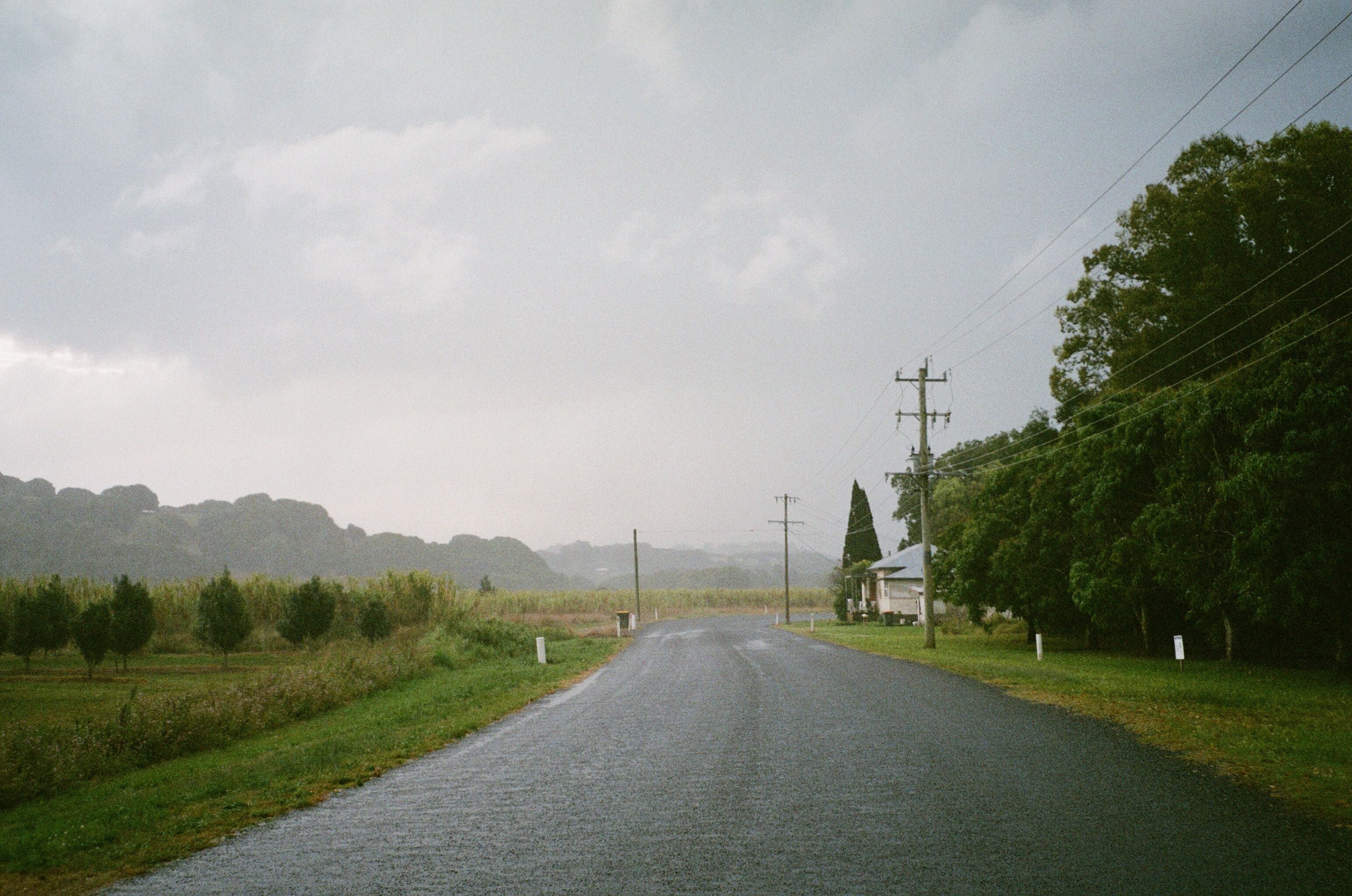 Wet Road in Countryside · Free Stock Photo