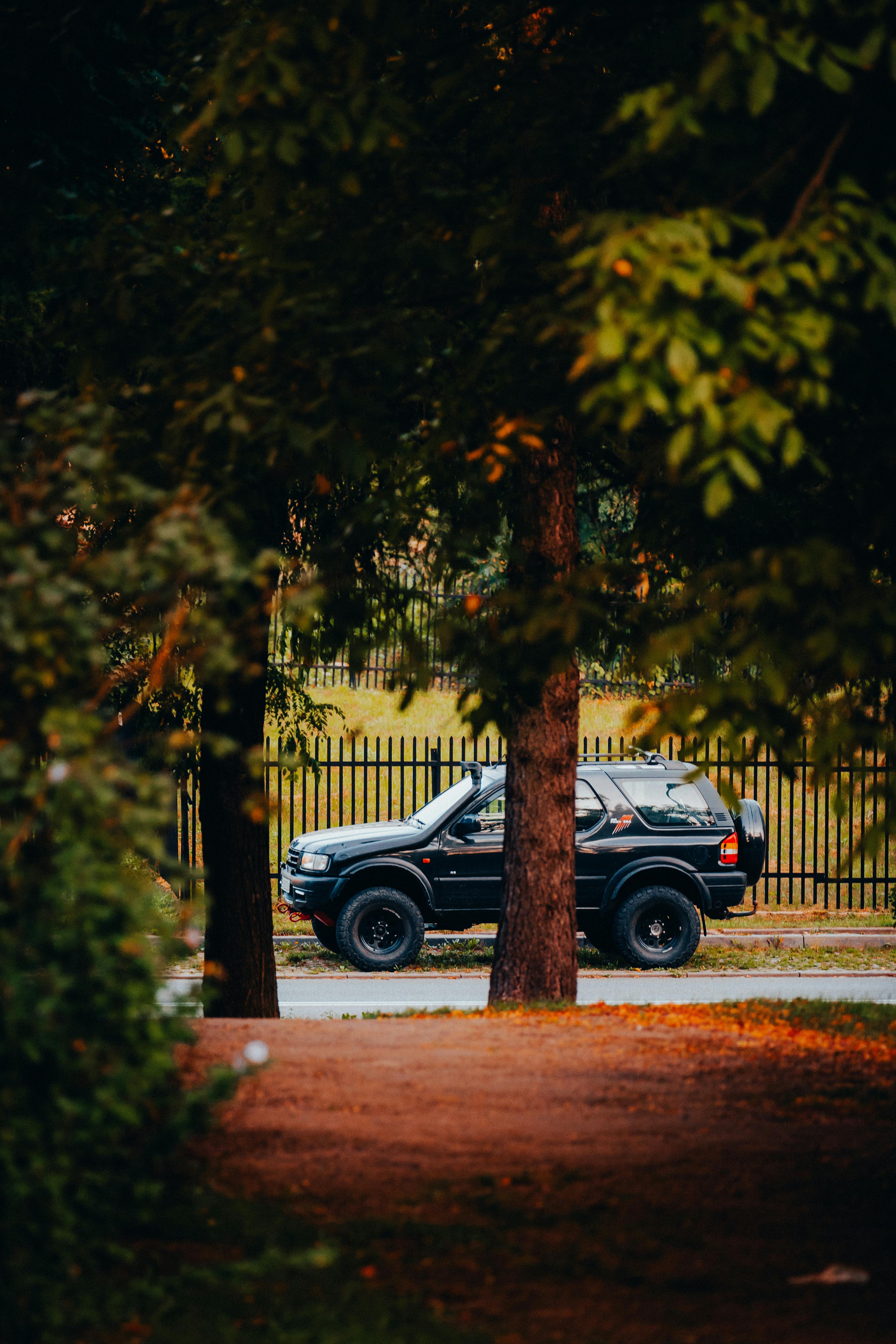 Photo of Audi Parked near Trees · Free Stock Photo