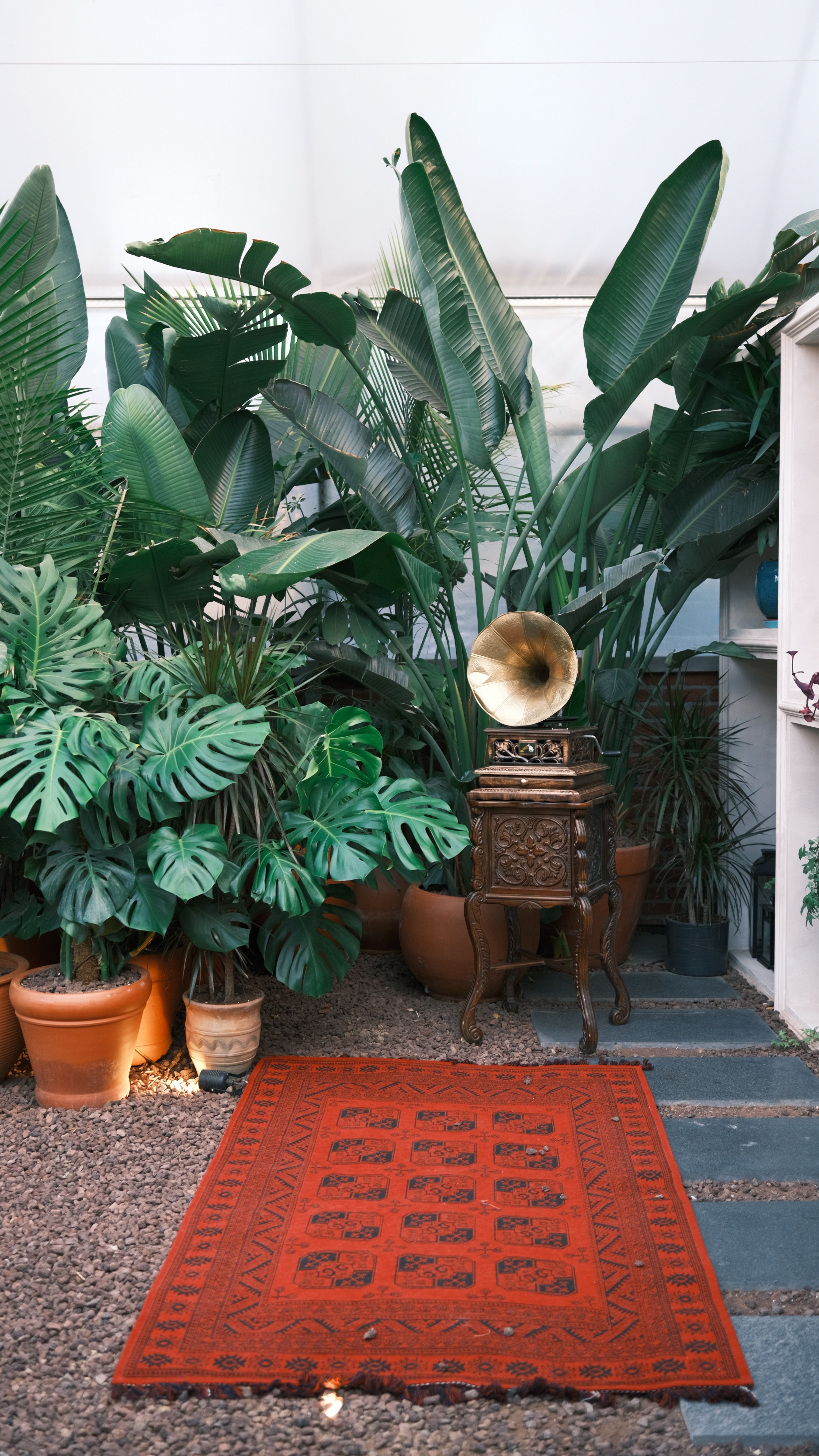 Carpet, Gramophone and Plants · Free Stock Photo