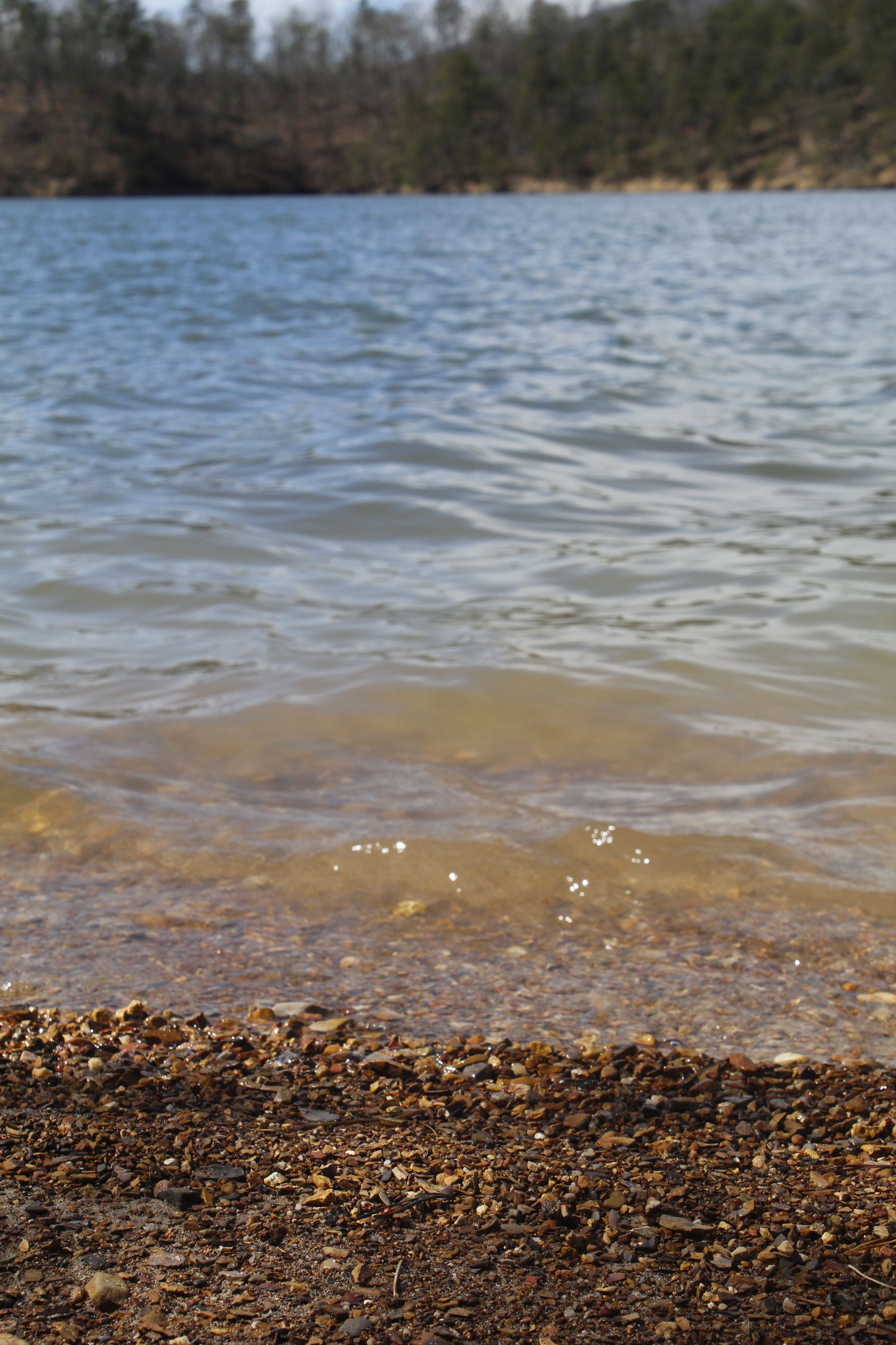 Shallow Water and Pebbles on Lakeshore · Free Stock Photo