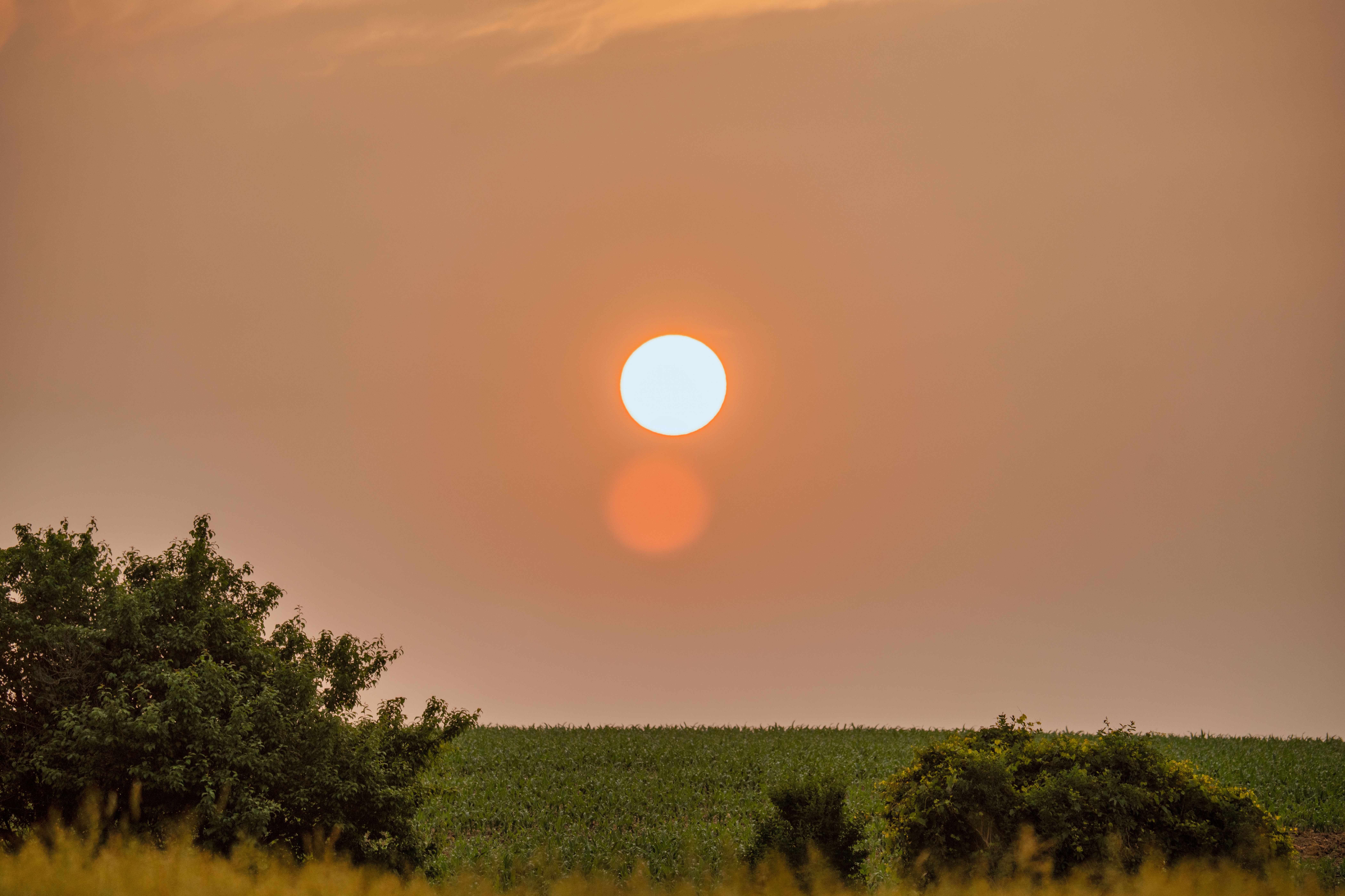 Setting Sun Over the Green Hill · Free Stock Photo