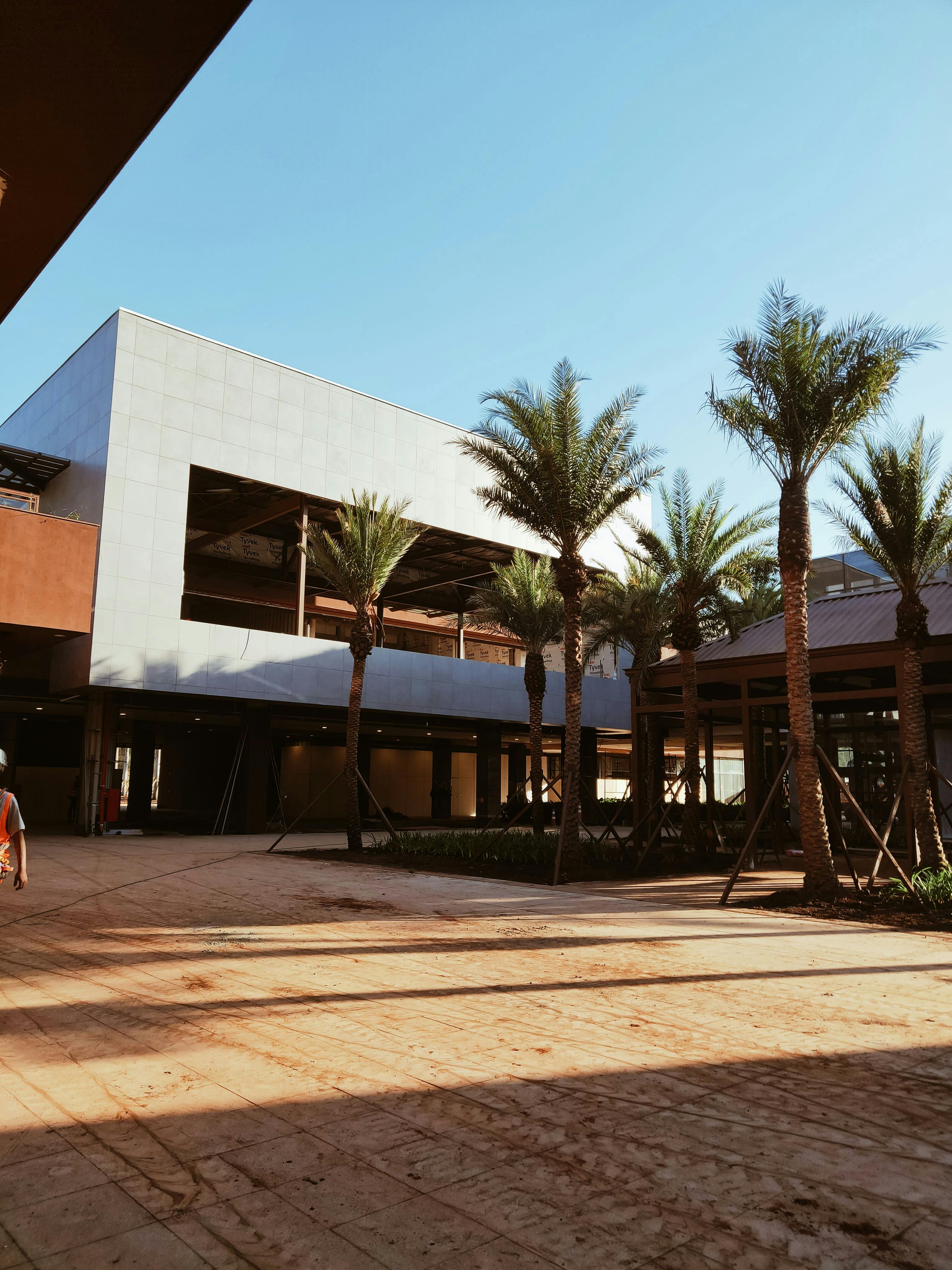 Daniel Bertoli - 摄影