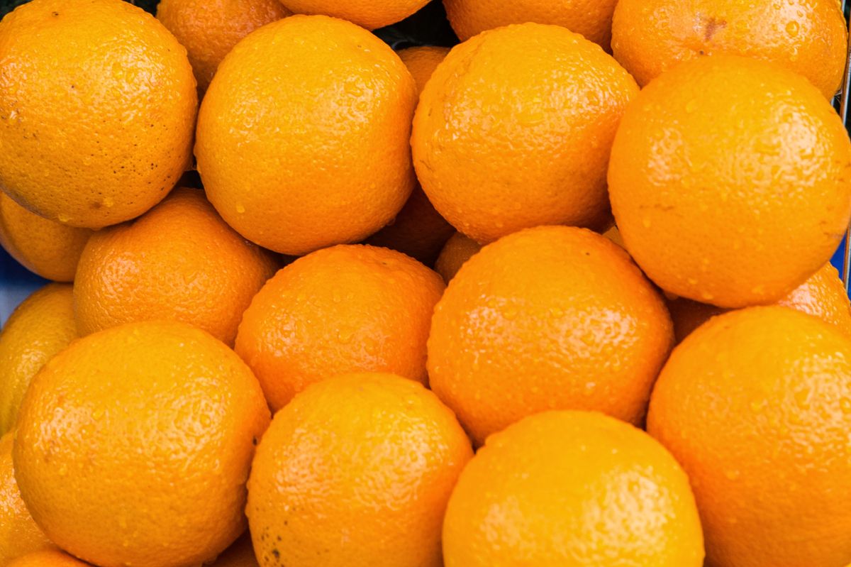 Orange Photos, Download The BEST Free Orange Stock Photos & HD Images