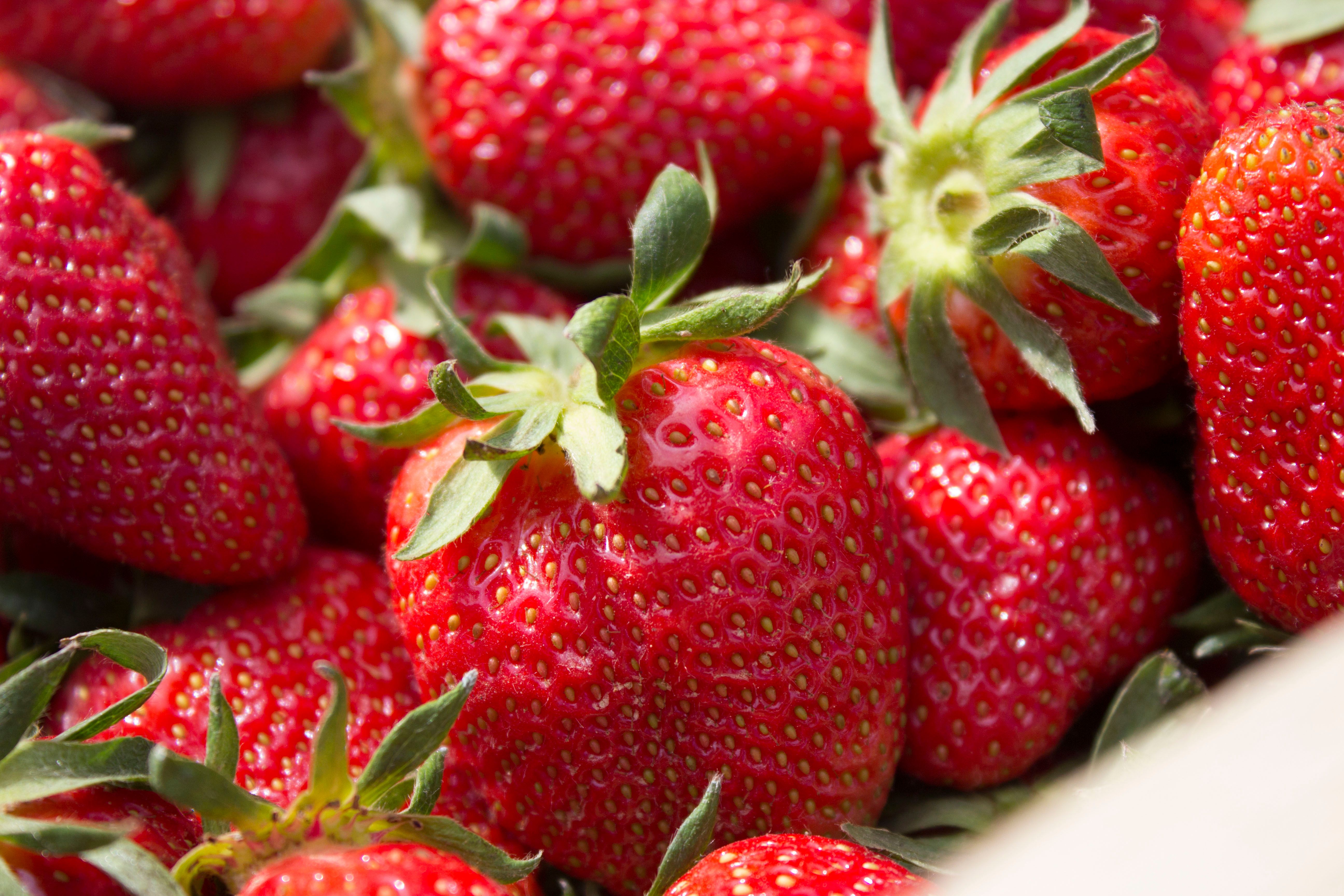 Red Strawberries in Close Up Photography · Free Stock Photo