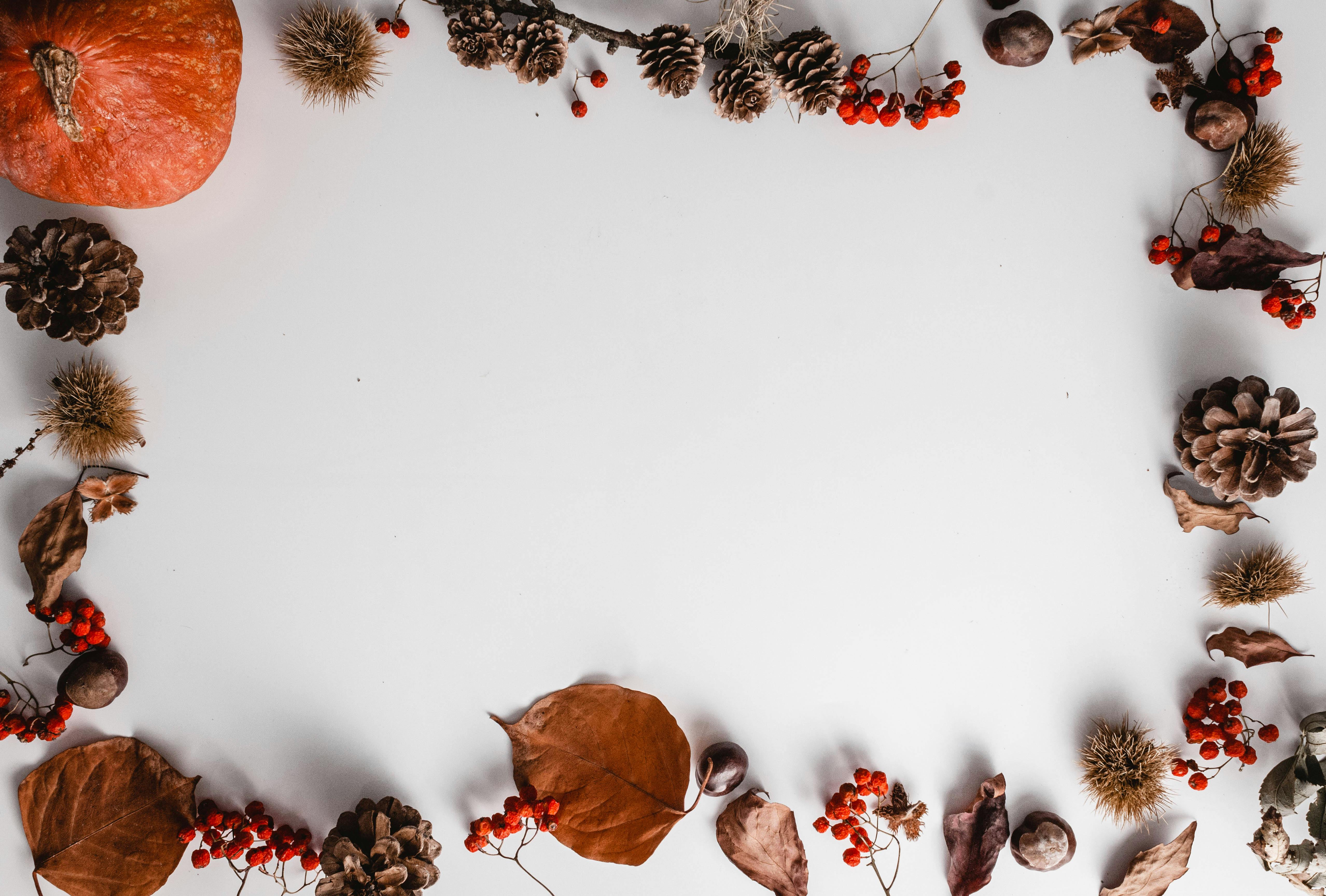 Learning Frame Photos, Download The BEST Free Learning Frame Stock ...