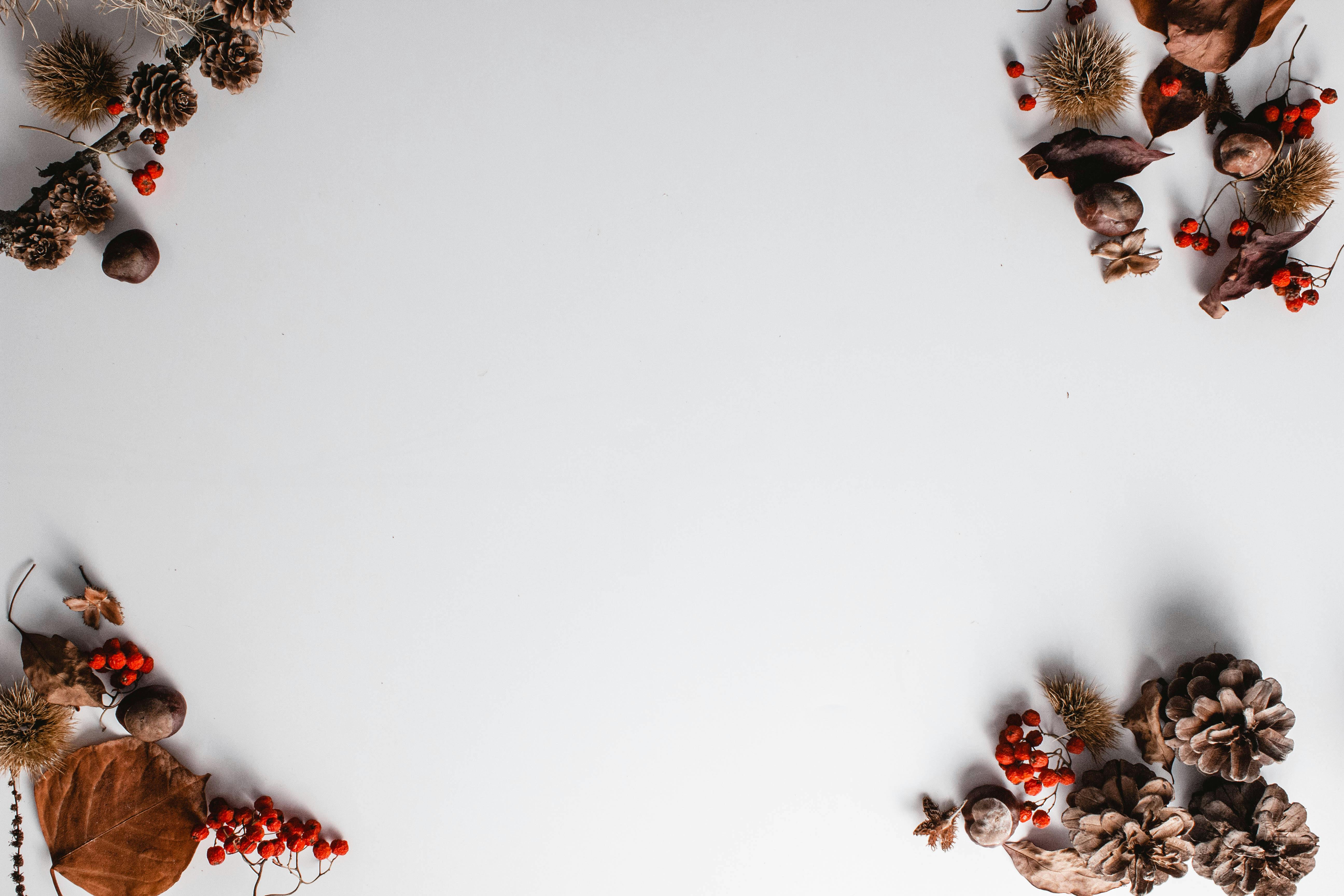 Picking Berries Photos, Download The BEST Free Picking Berries Stock ...