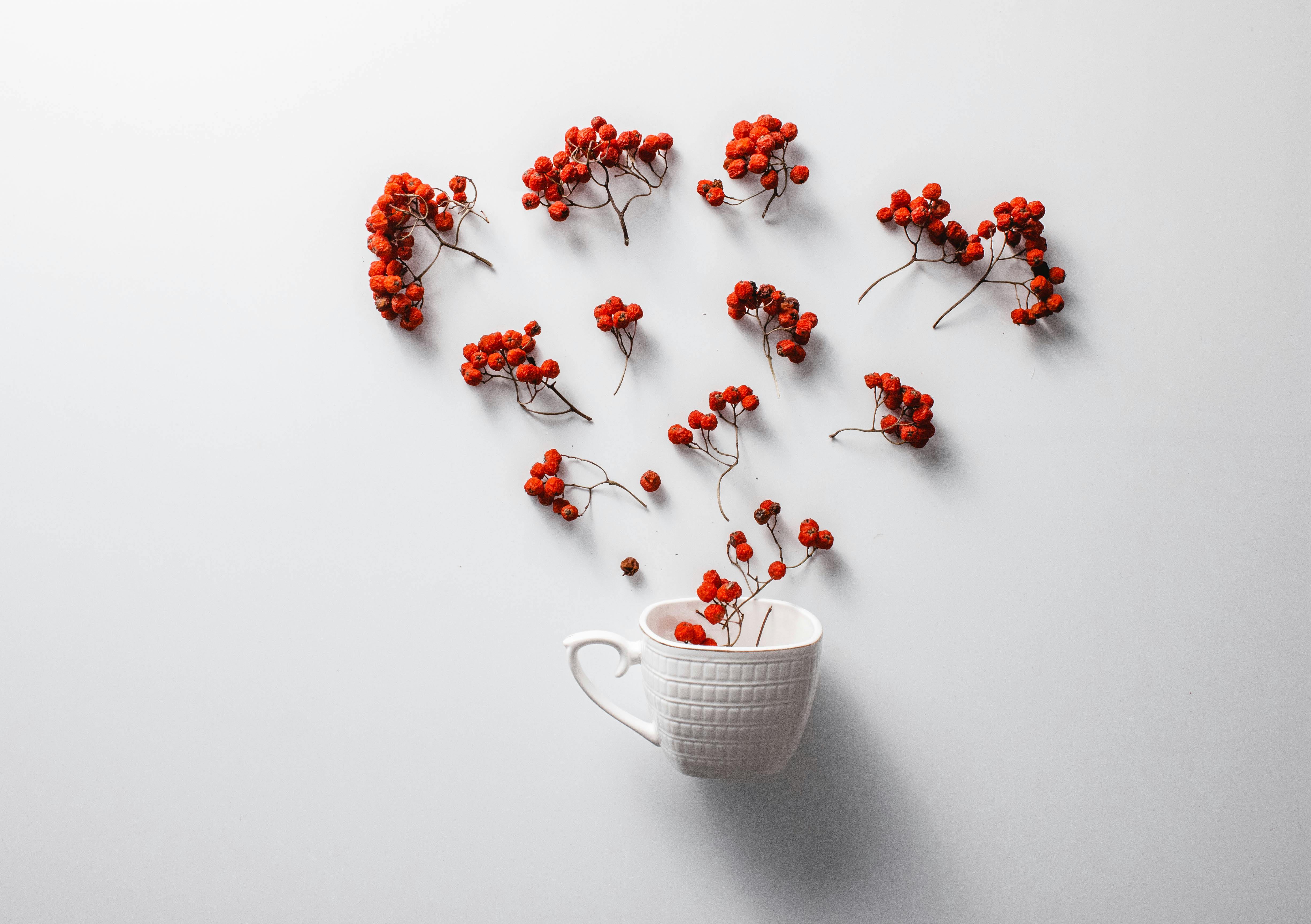 Red Beries over Cup on White Background · Free Stock Photo
