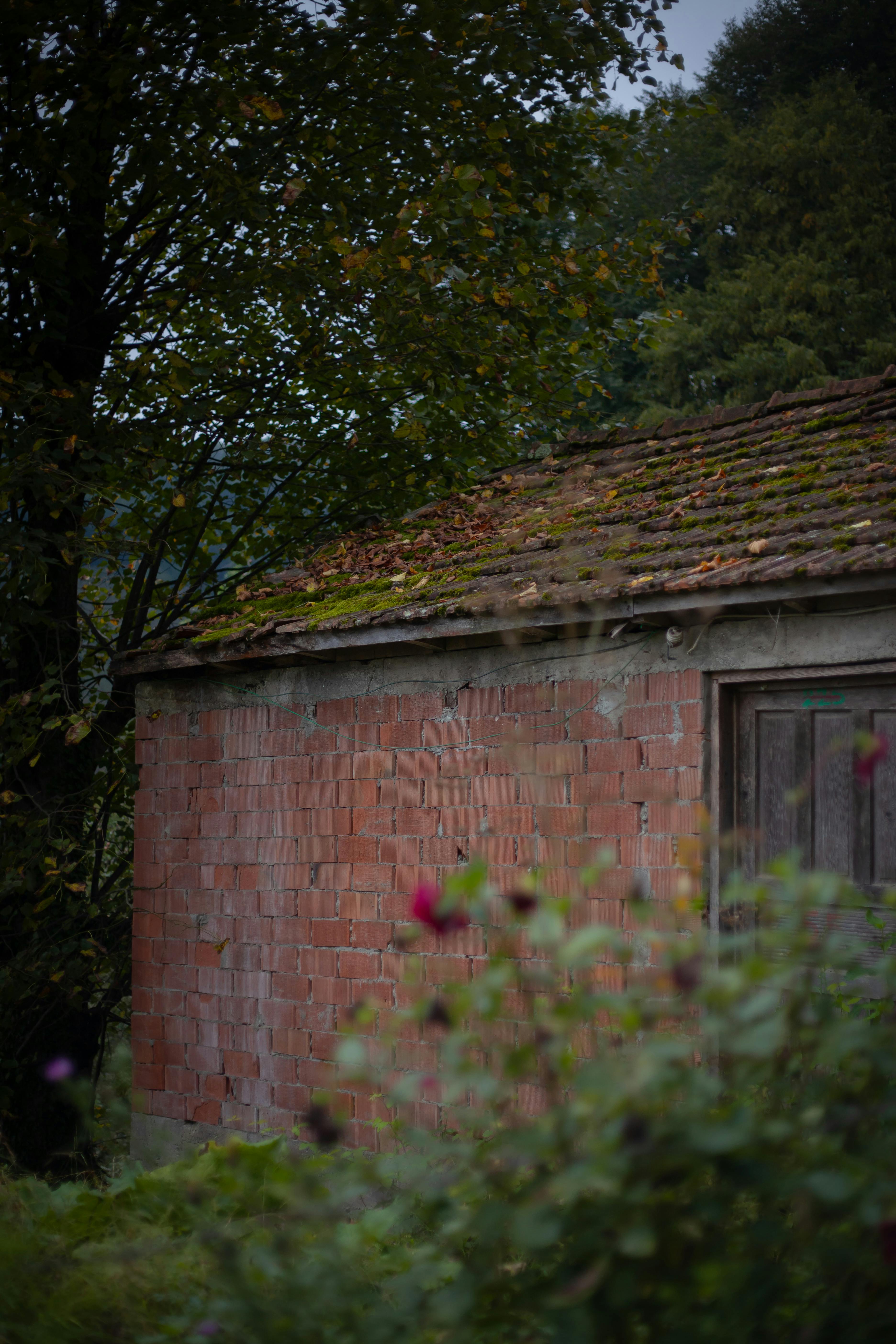 Brick Hut in a Forest · Free Stock Photo