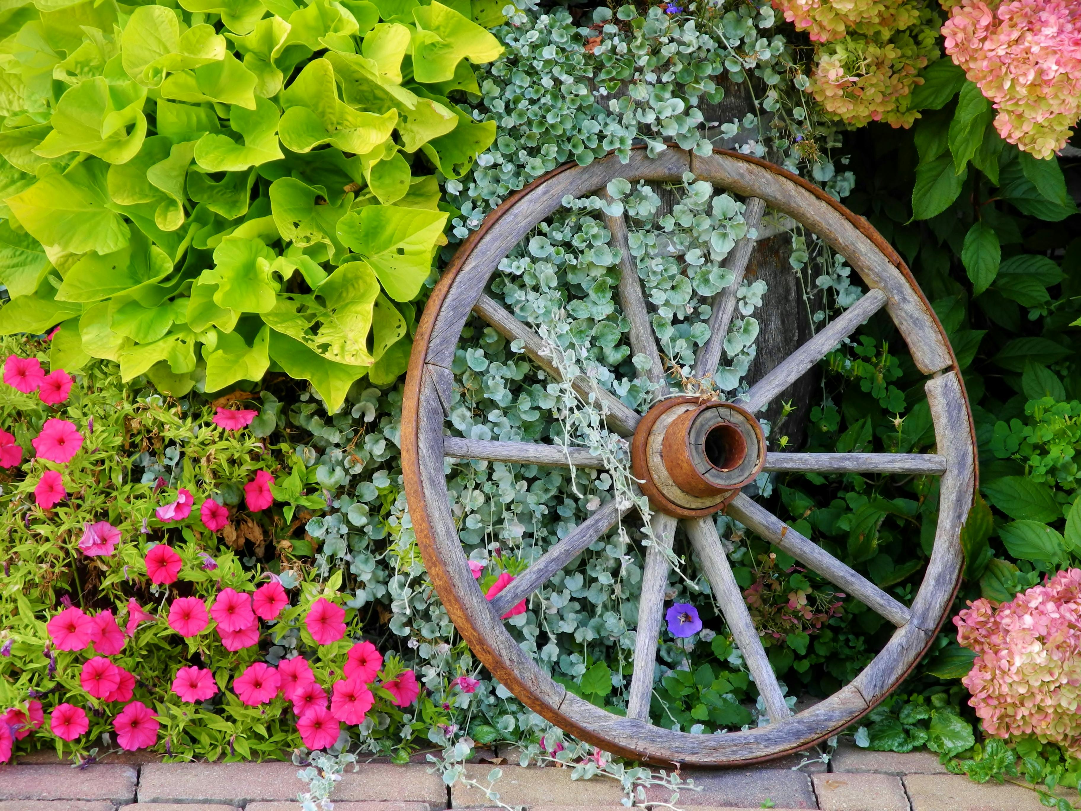 Brown Wooden Wheel on Top of Green Grass · Free Stock Photo