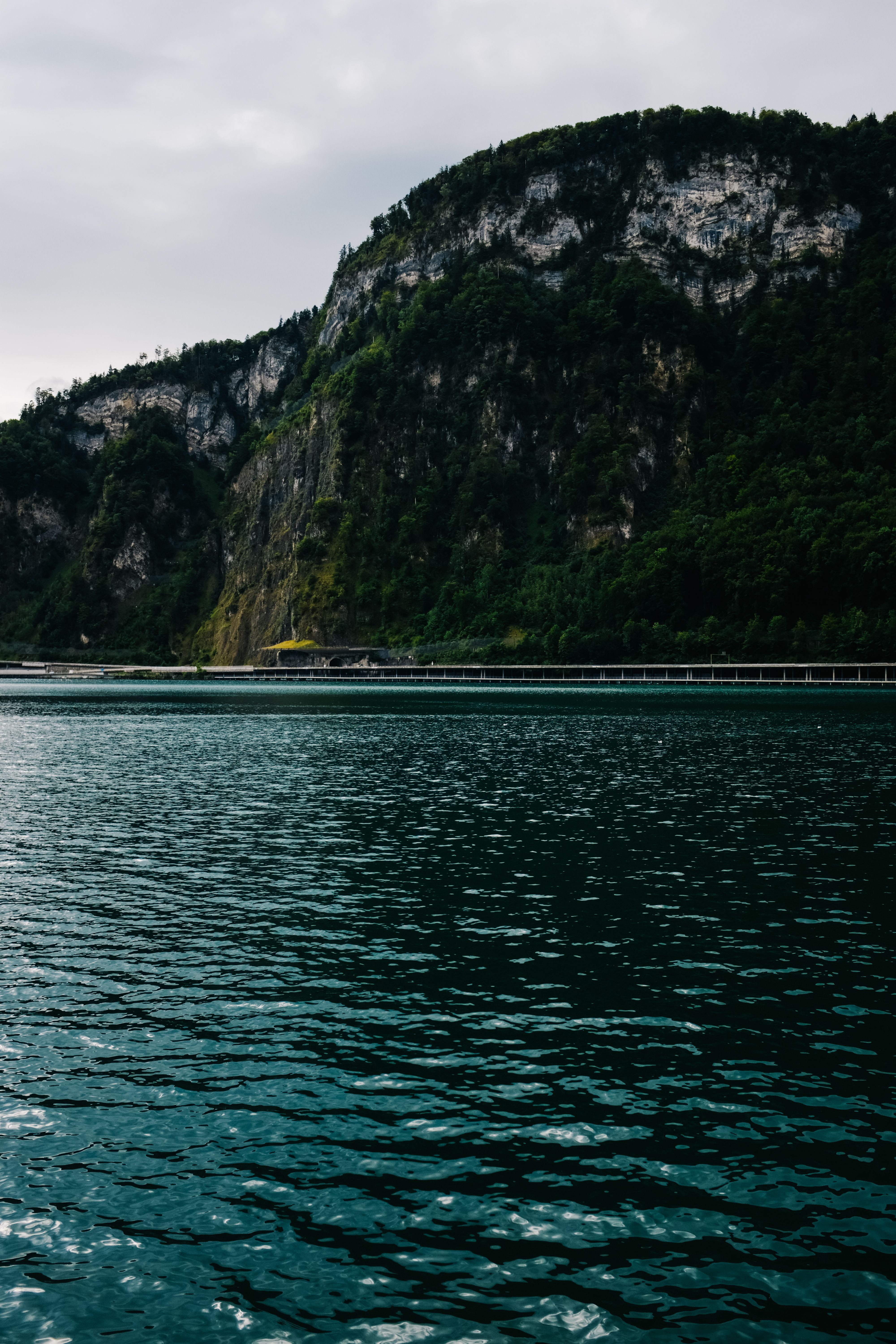 Overgrown Cliffs on Lake Shore · Free Stock Photo