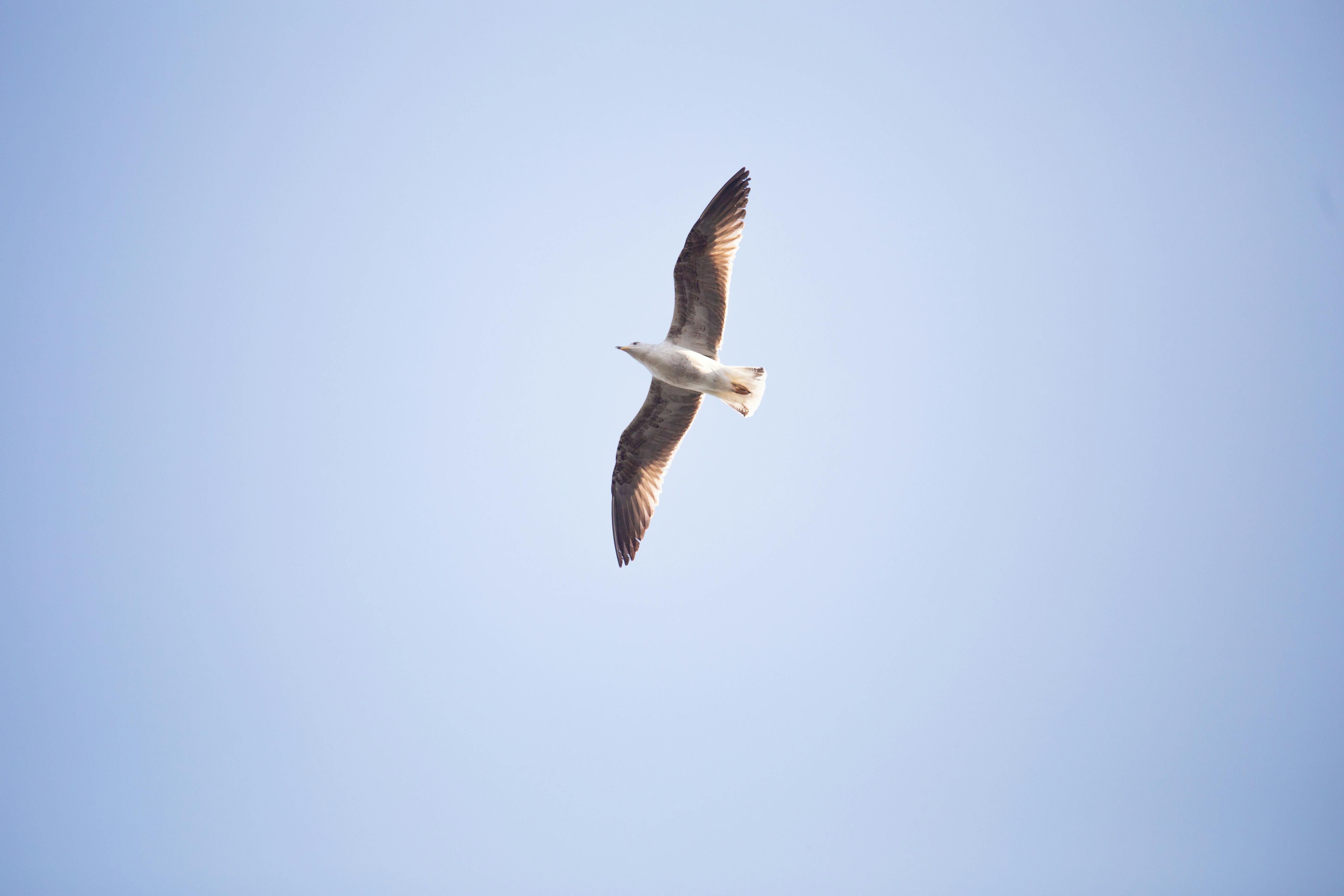 Lee Padilla - Photography