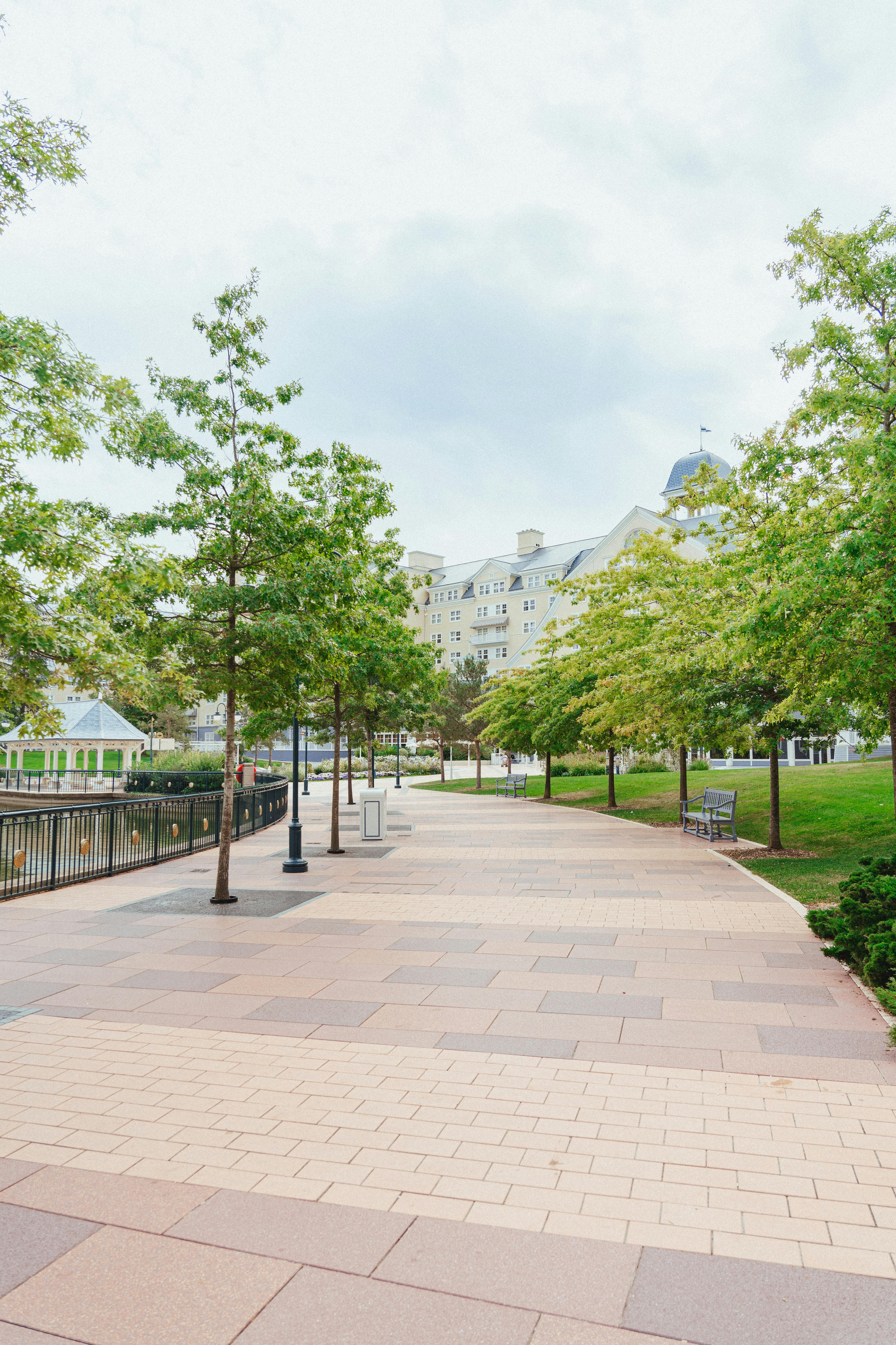 Pavement in Park · Free Stock Photo