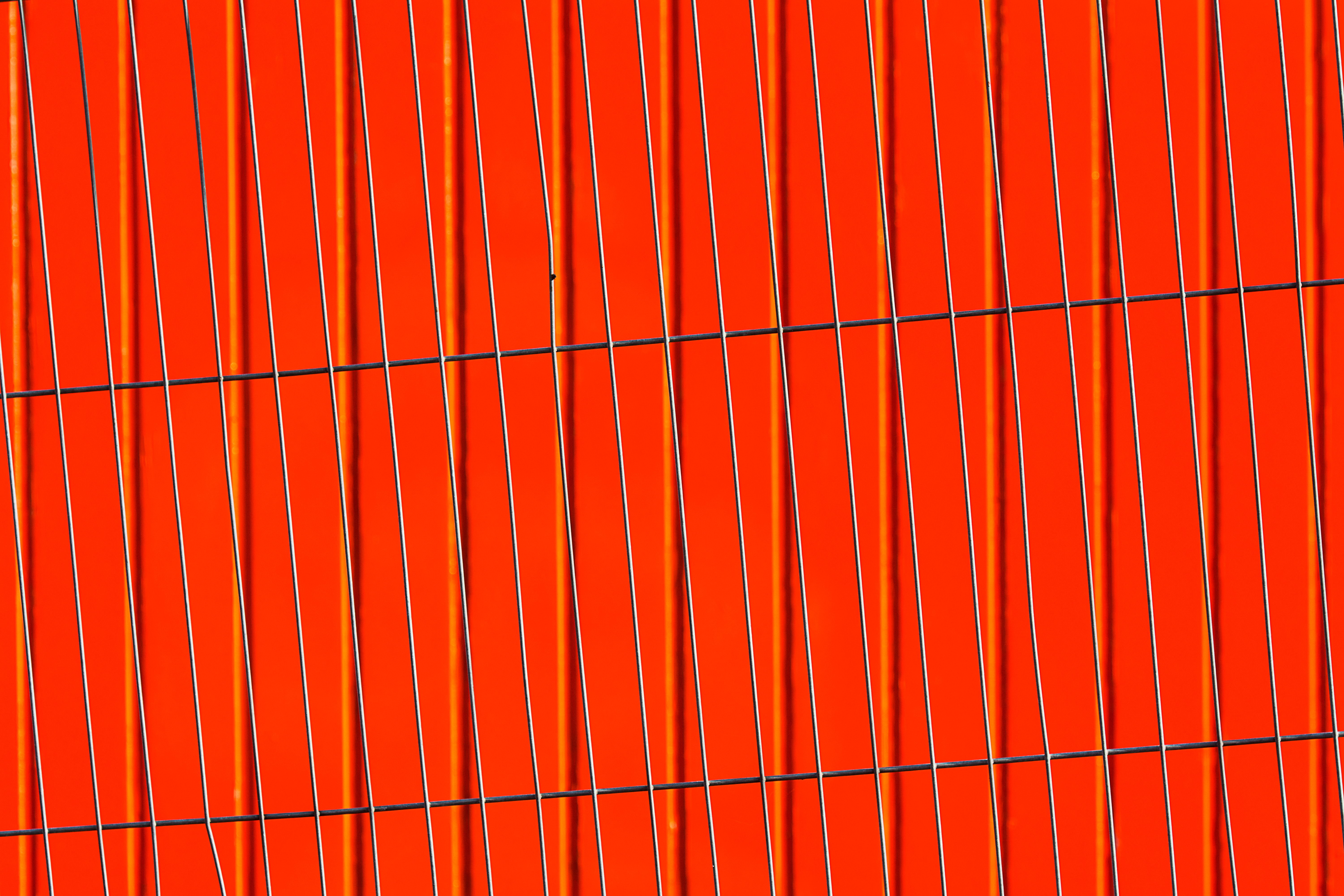 Thin Bars of Fence · Free Stock Photo