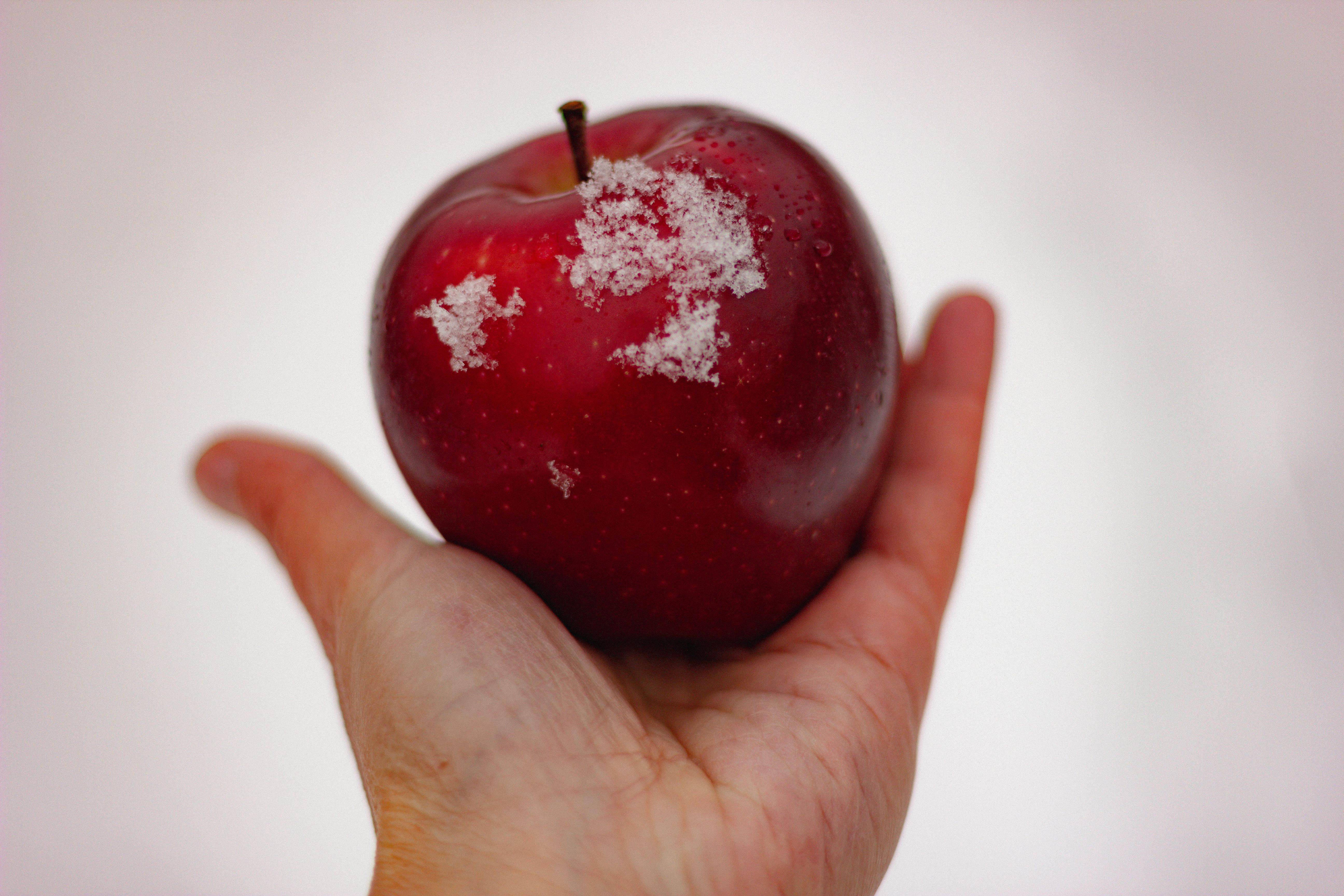 Apple In Hand Photos, Download The BEST Free Apple In Hand Stock Photos ...