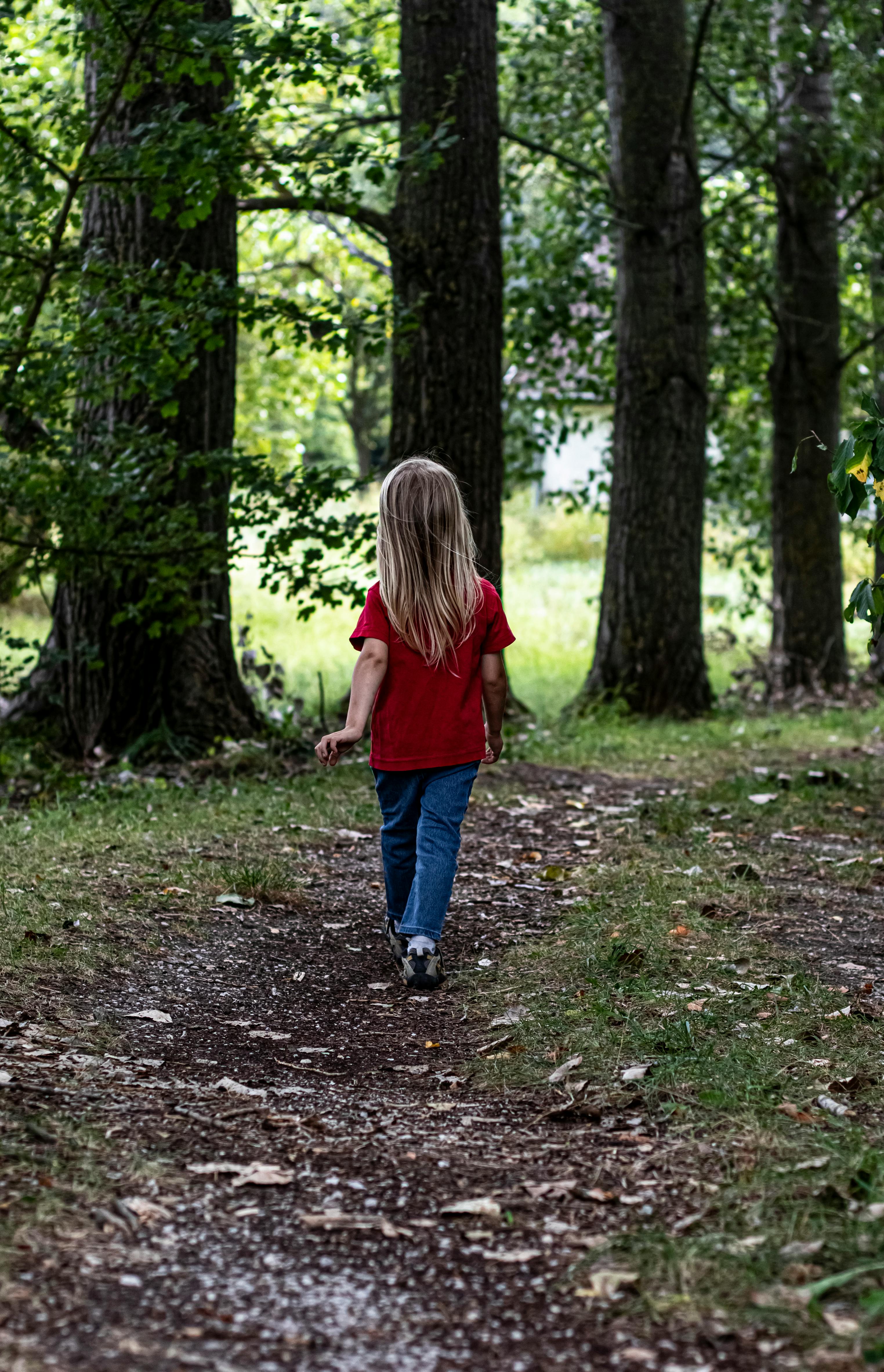 Little Kid Walking Alone In The Forest COLORED · Free Stock Photo