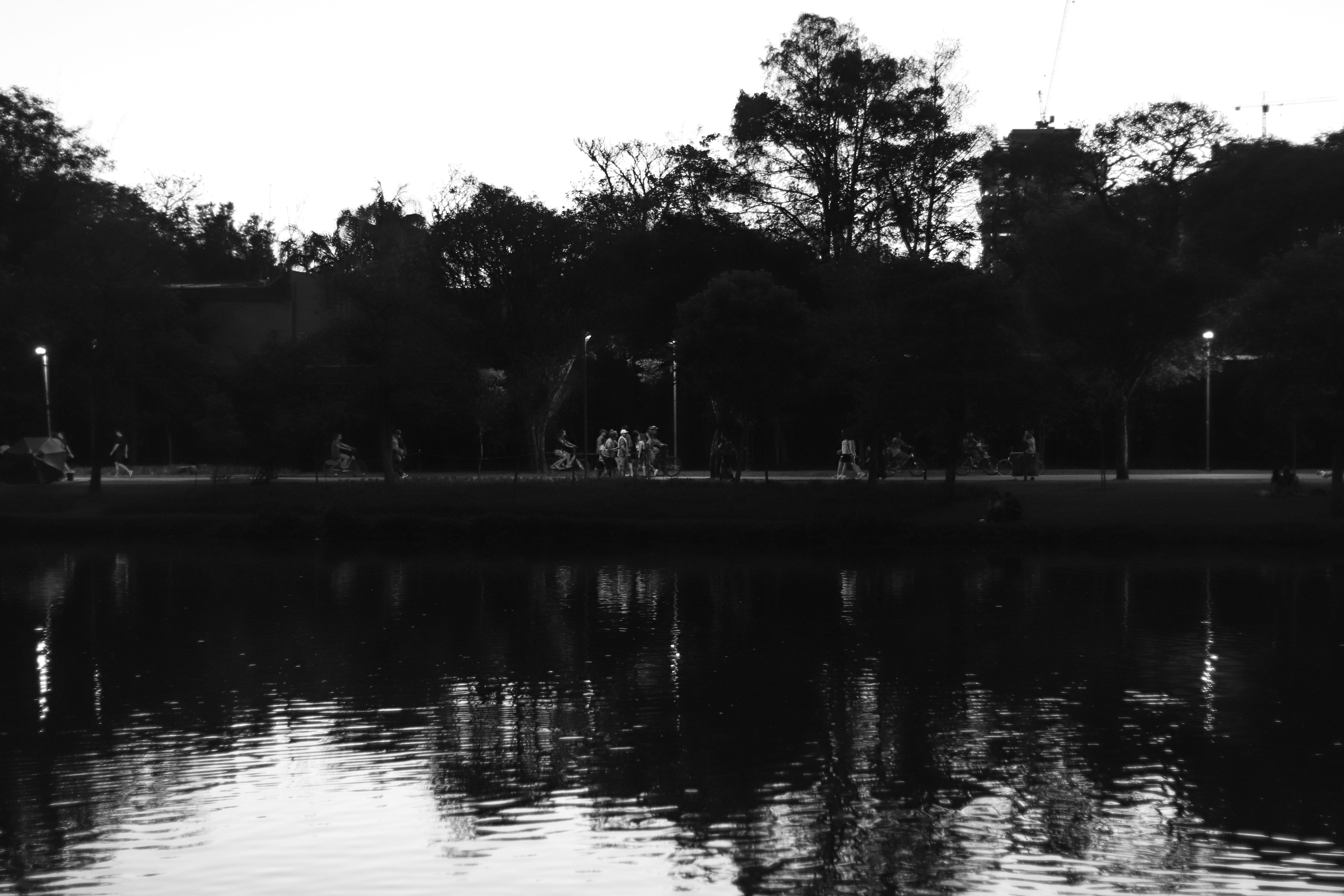 Guilherme Simão - Fotografía