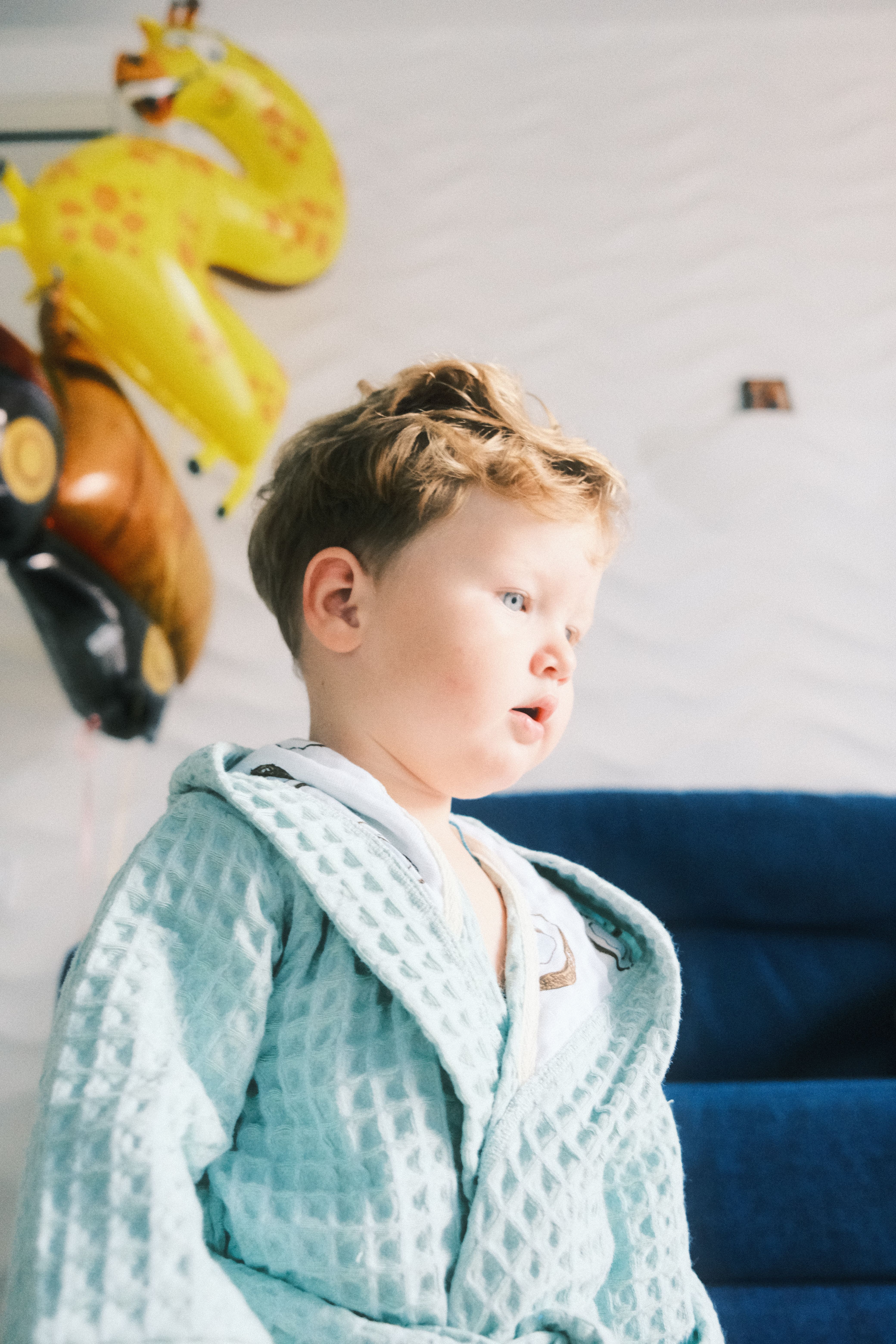 portrait of a boy with toys · Free Stock Photo