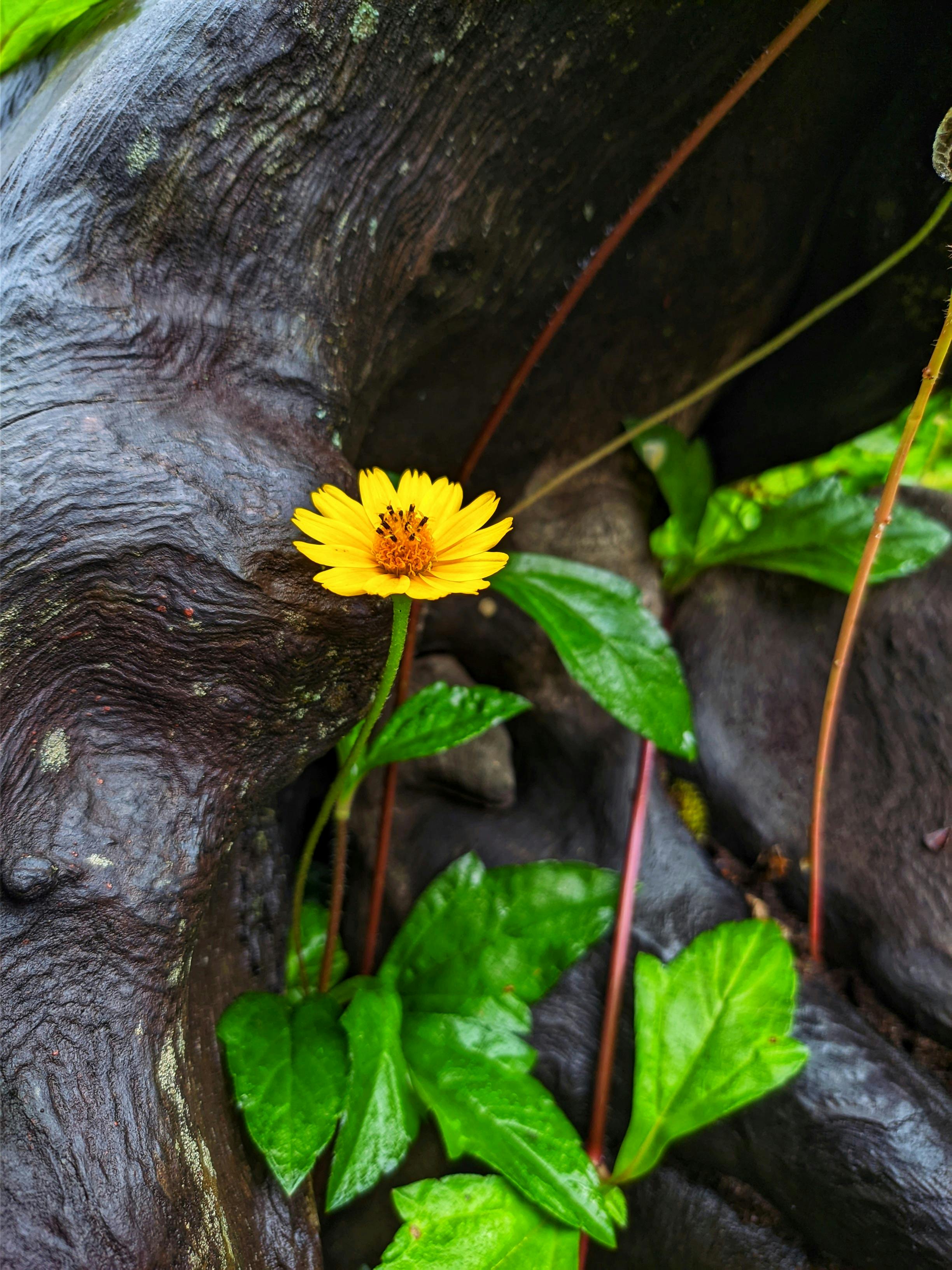 very good - Photography