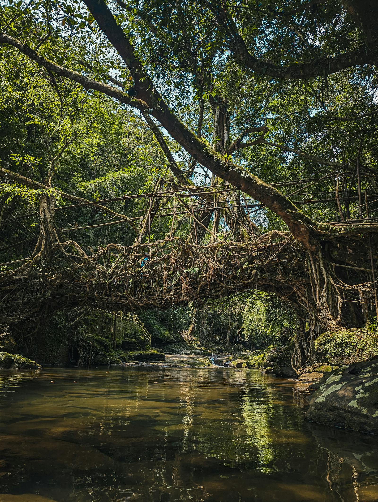 400,000+张最精彩的“Word背景图”图片 · 100%免费下载 · Pexels素材图片