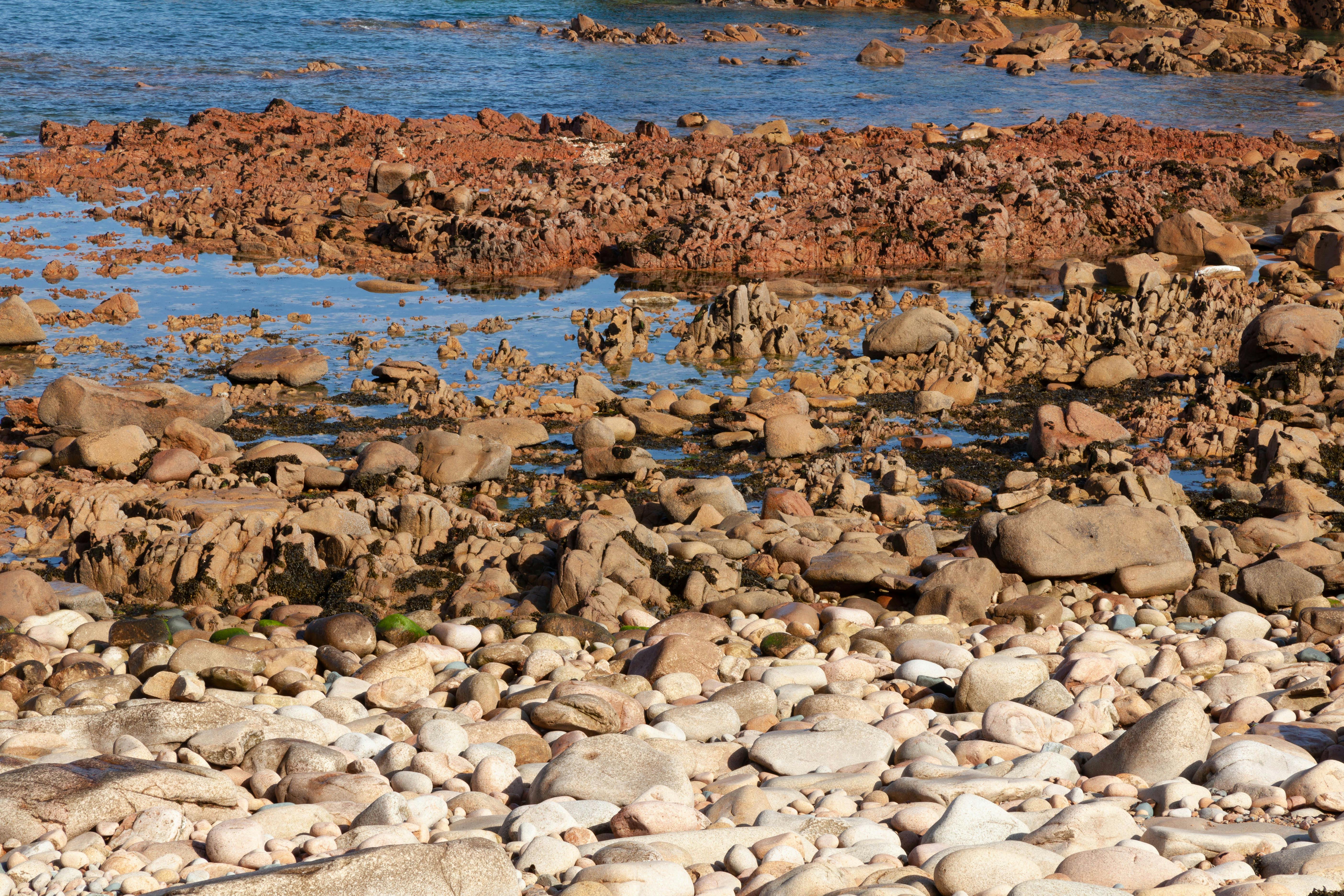 Stones on Sea Shore · Free Stock Photo