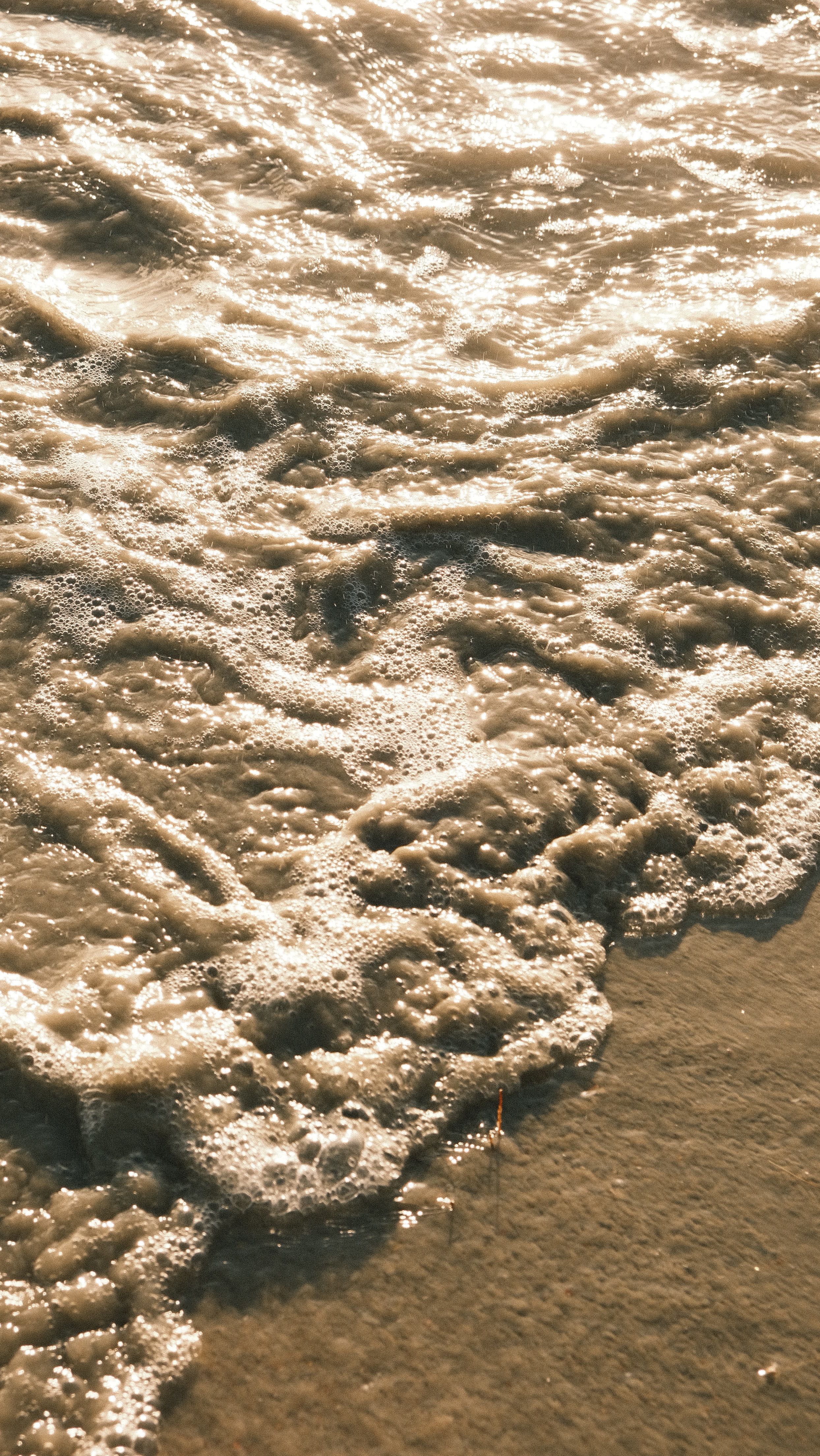 Sunlit Water Foam on Shore · Free Stock Photo