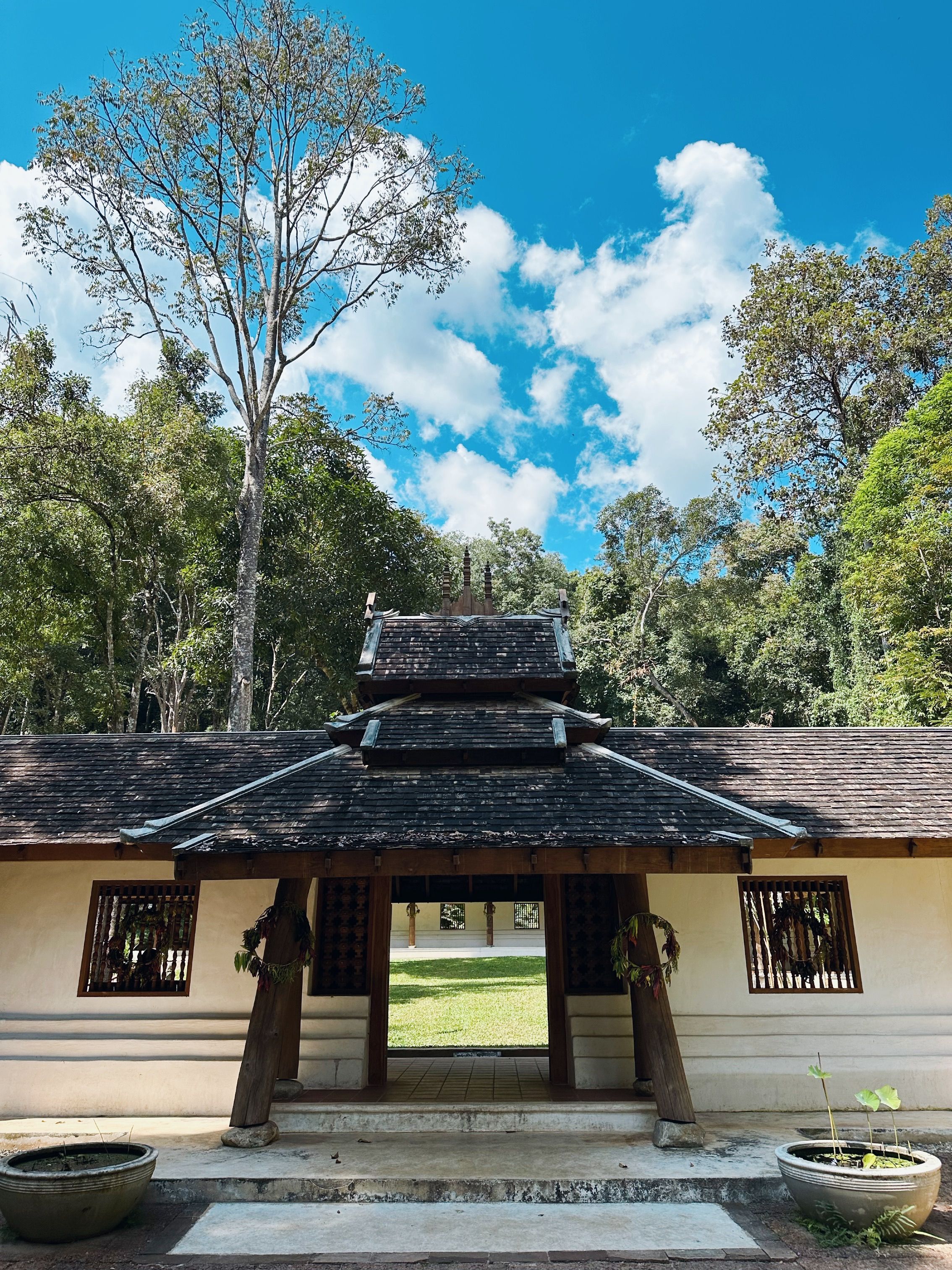 Entrance to Building in Forest · Free Stock Photo