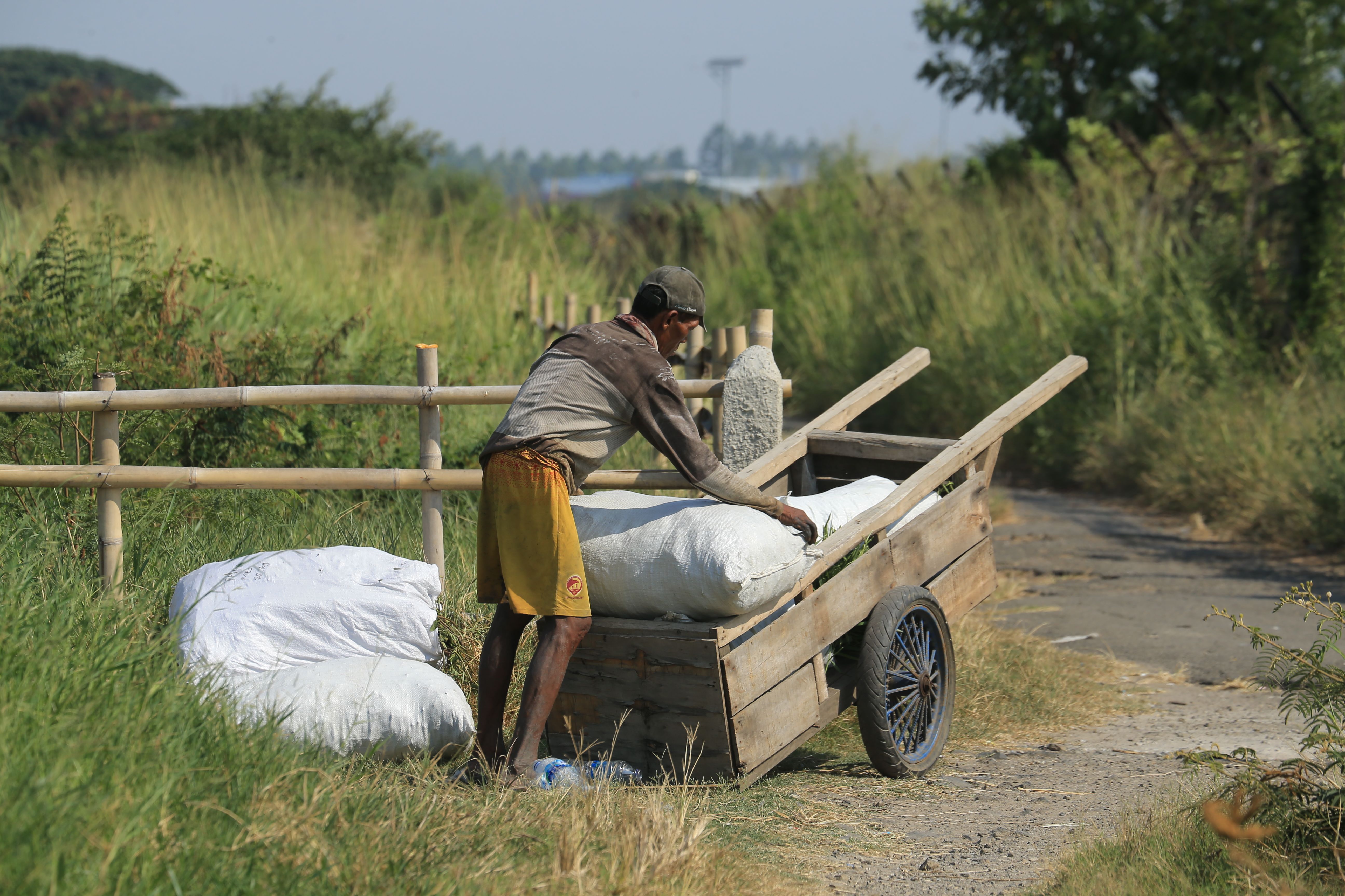 Man Standing with Trailer with Bags · Free Stock Photo