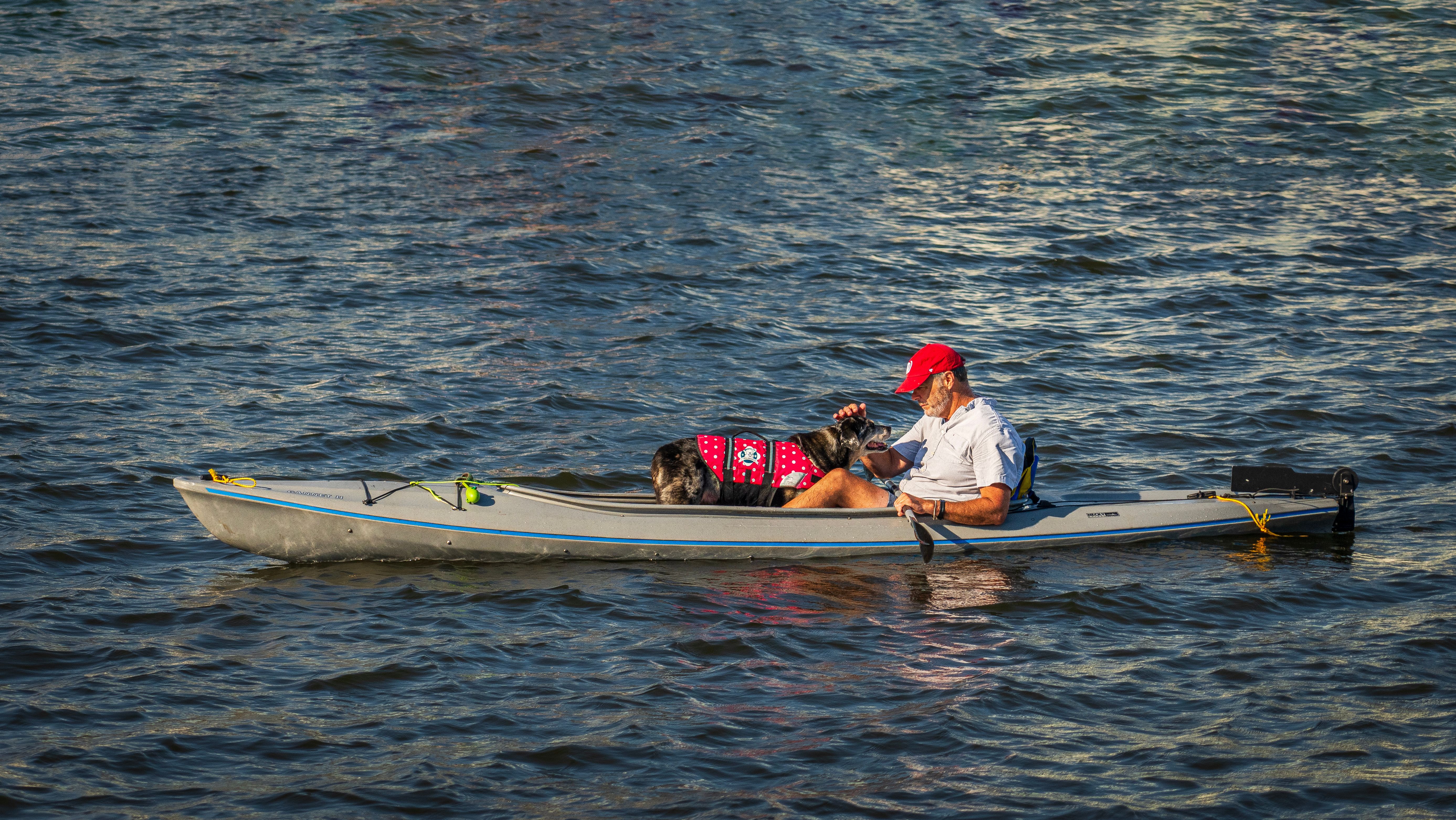 Gray Canoe Photos, Download The BEST Free Gray Canoe Stock Photos & HD ...