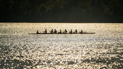 Rowing Team Photos, Download The BEST Free Rowing Team Stock Photos ...