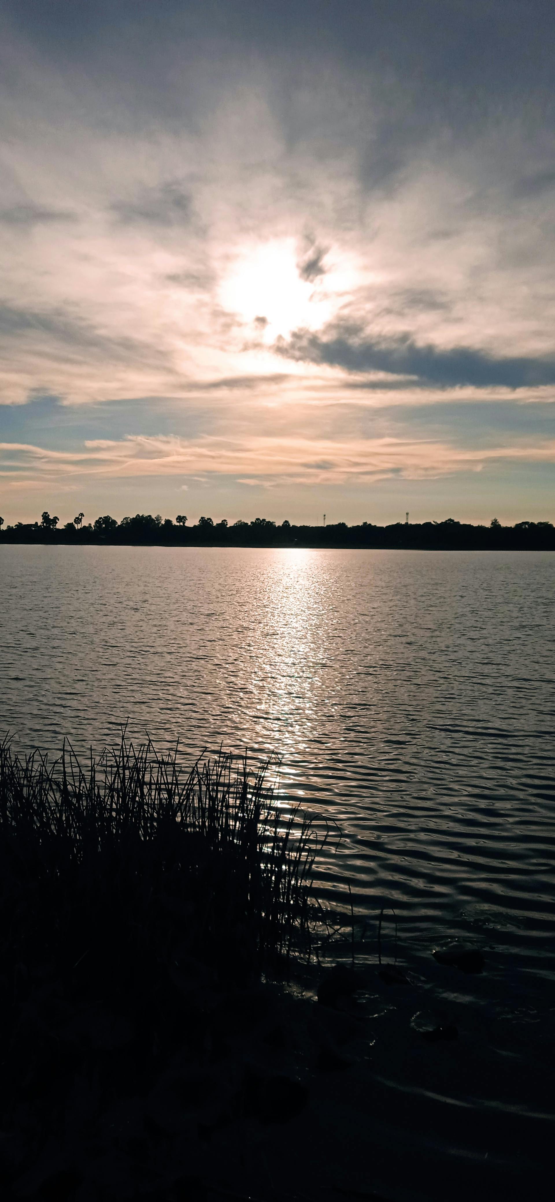 patcharee tangtiang - การถ่ายภาพ