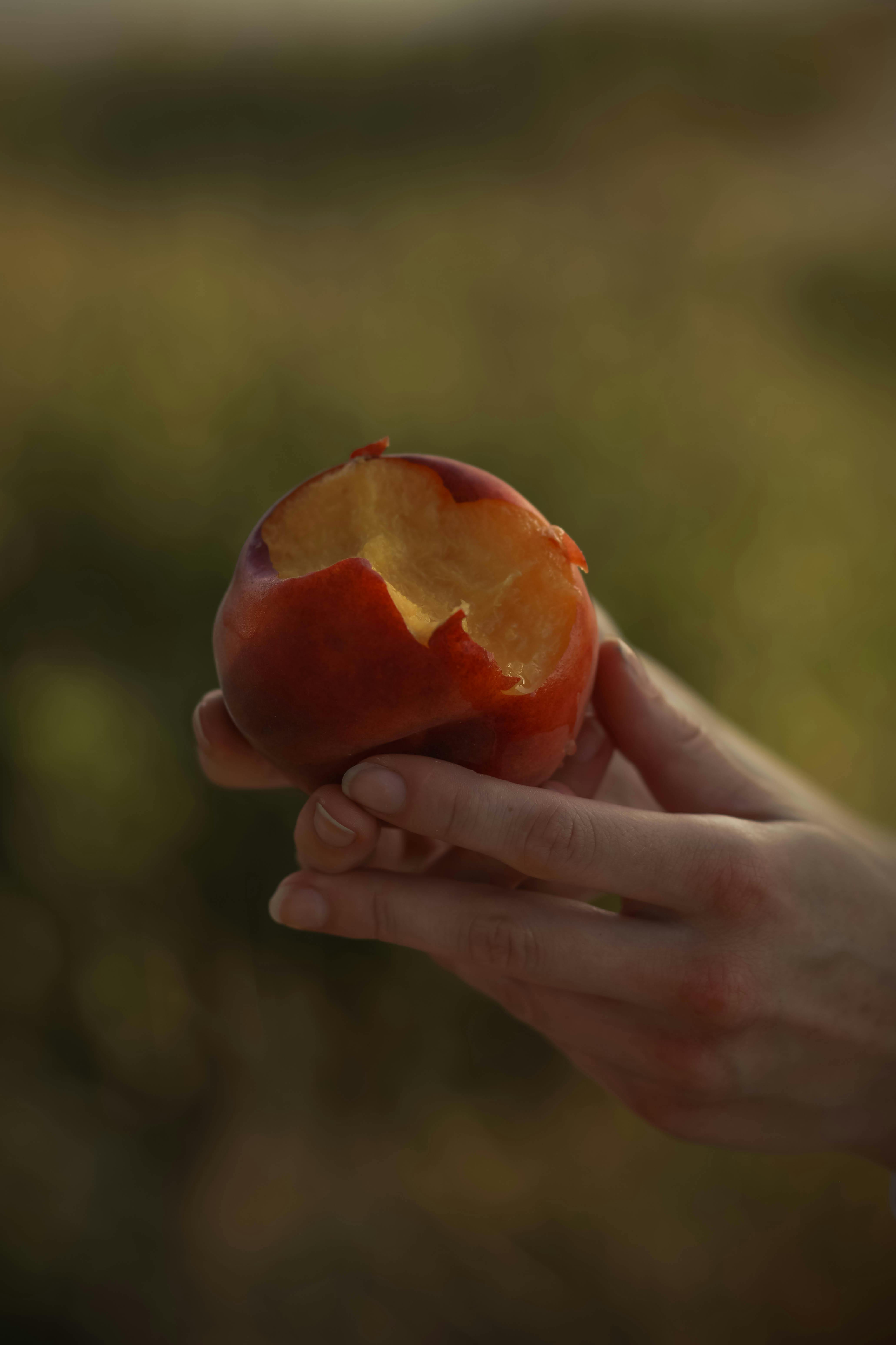 Person Eating Peach · Free Stock Photo