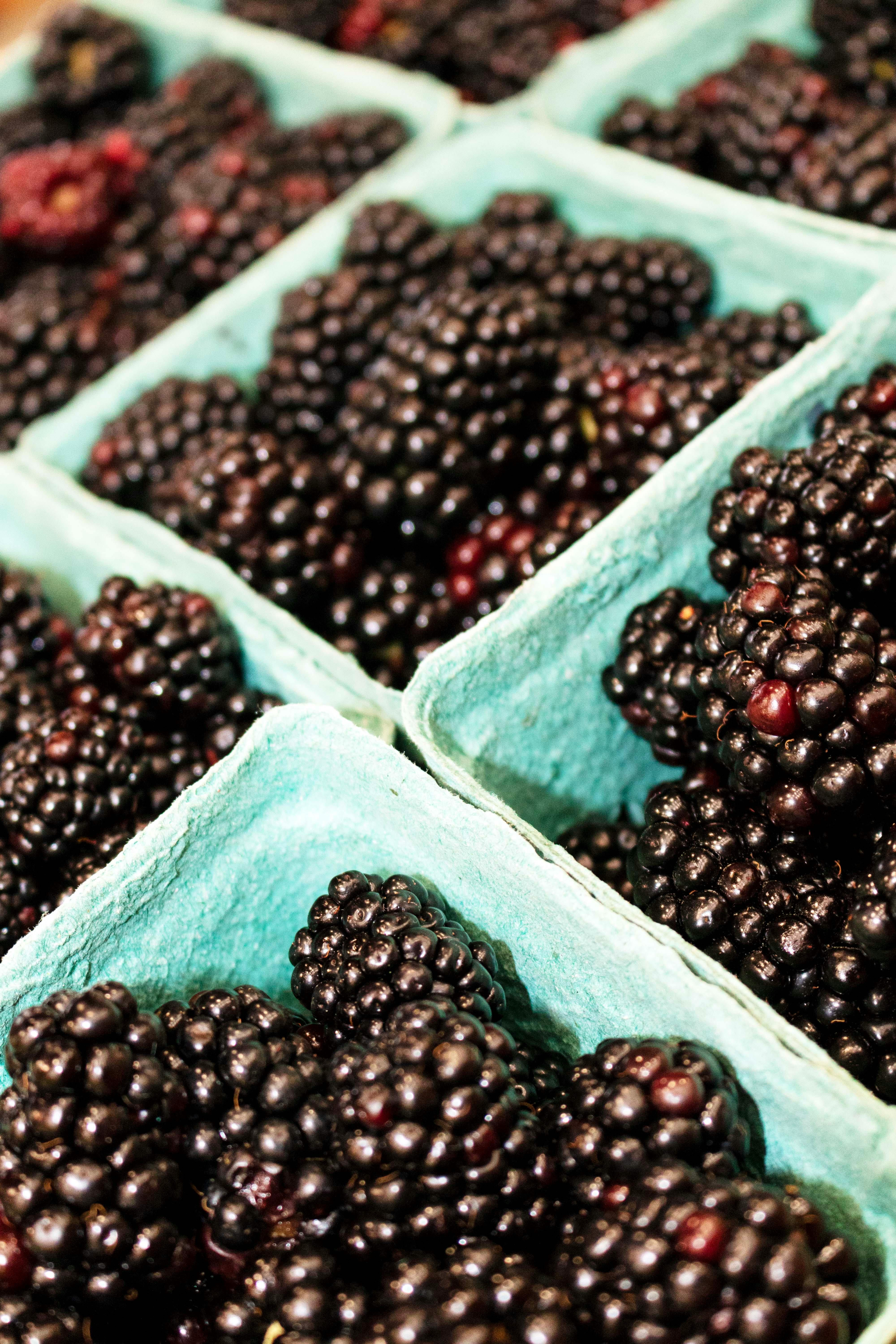 Boxes of Blackberries · Free Stock Photo