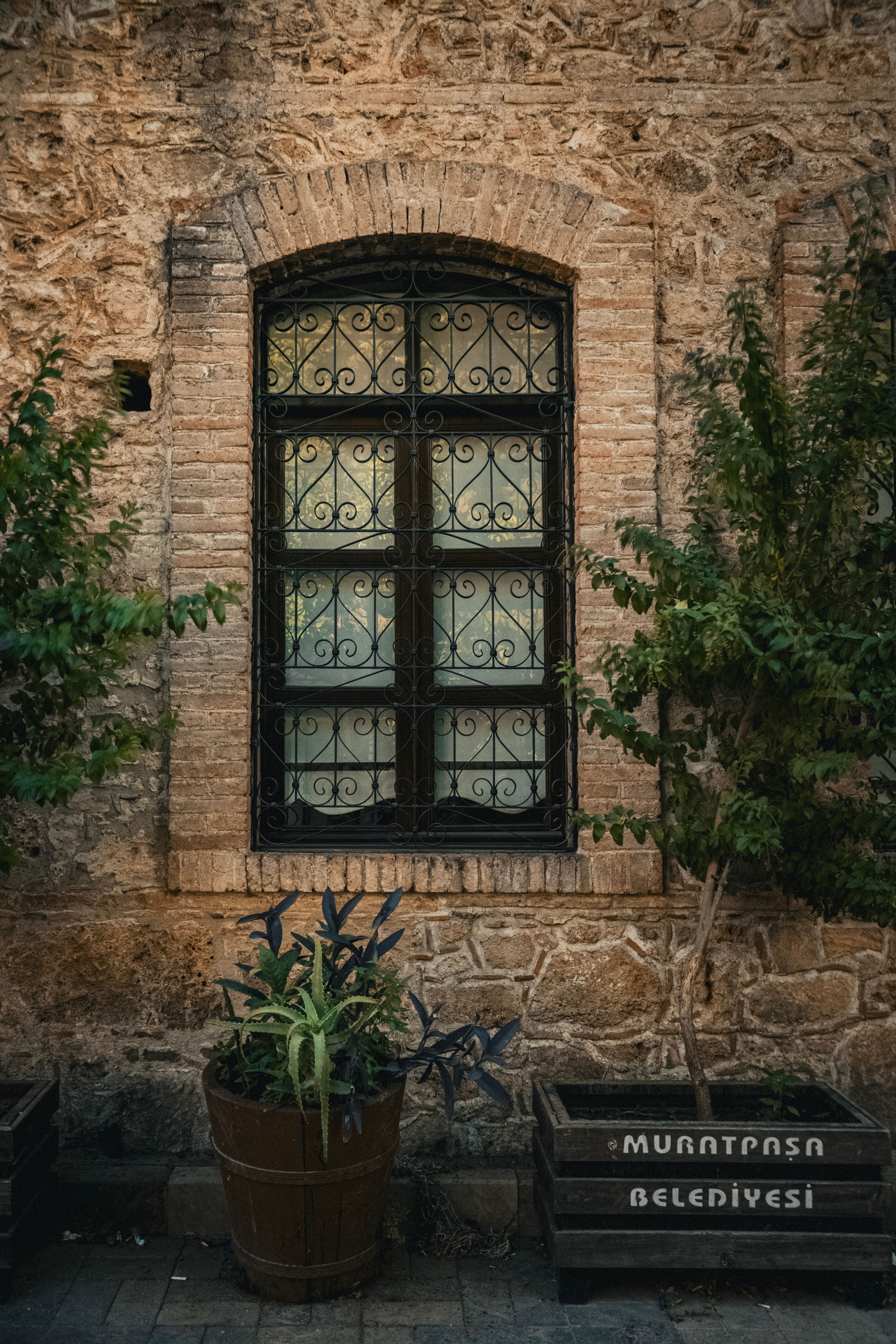 Window with Elegant Metalwork · Free Stock Photo