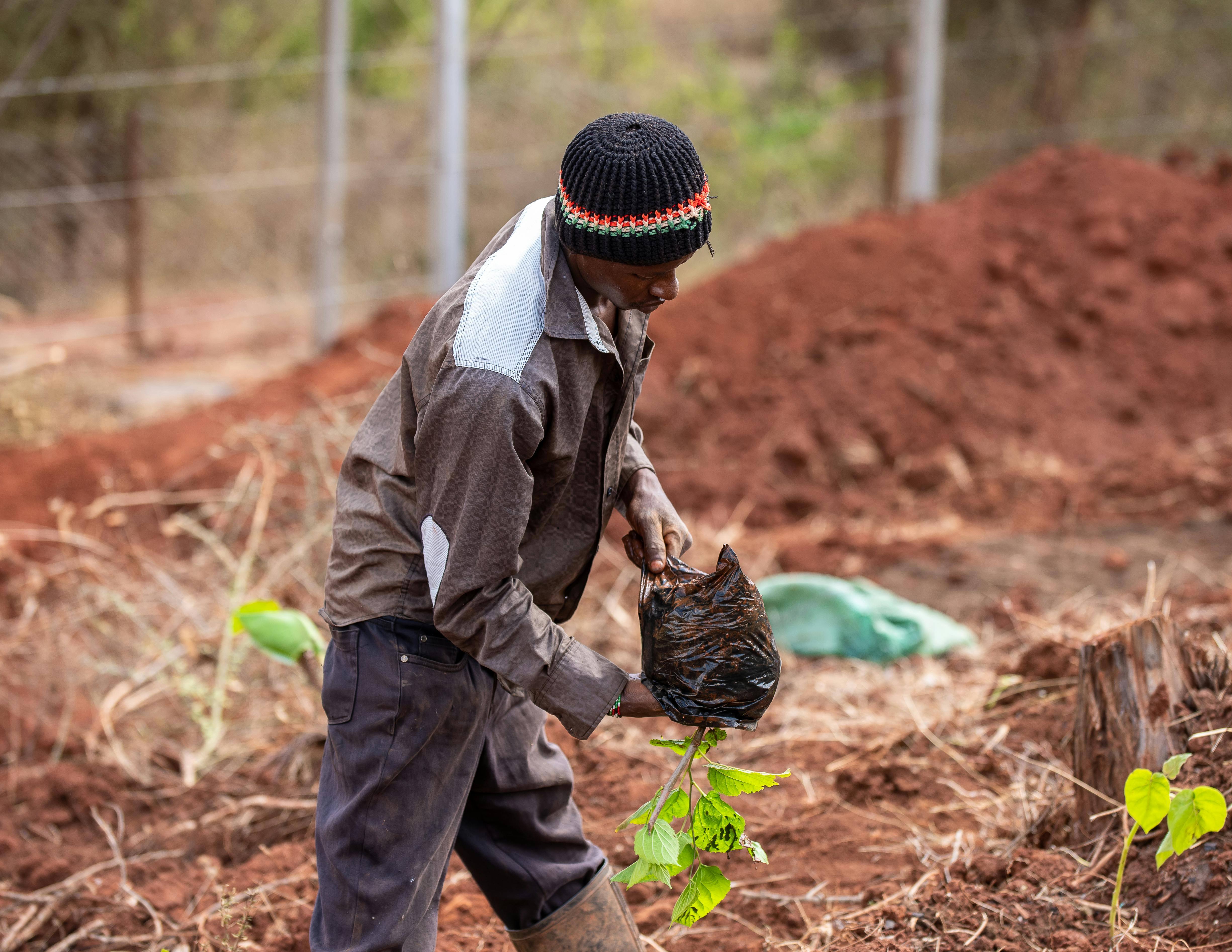 Man Planting Trees · Free Stock Photo