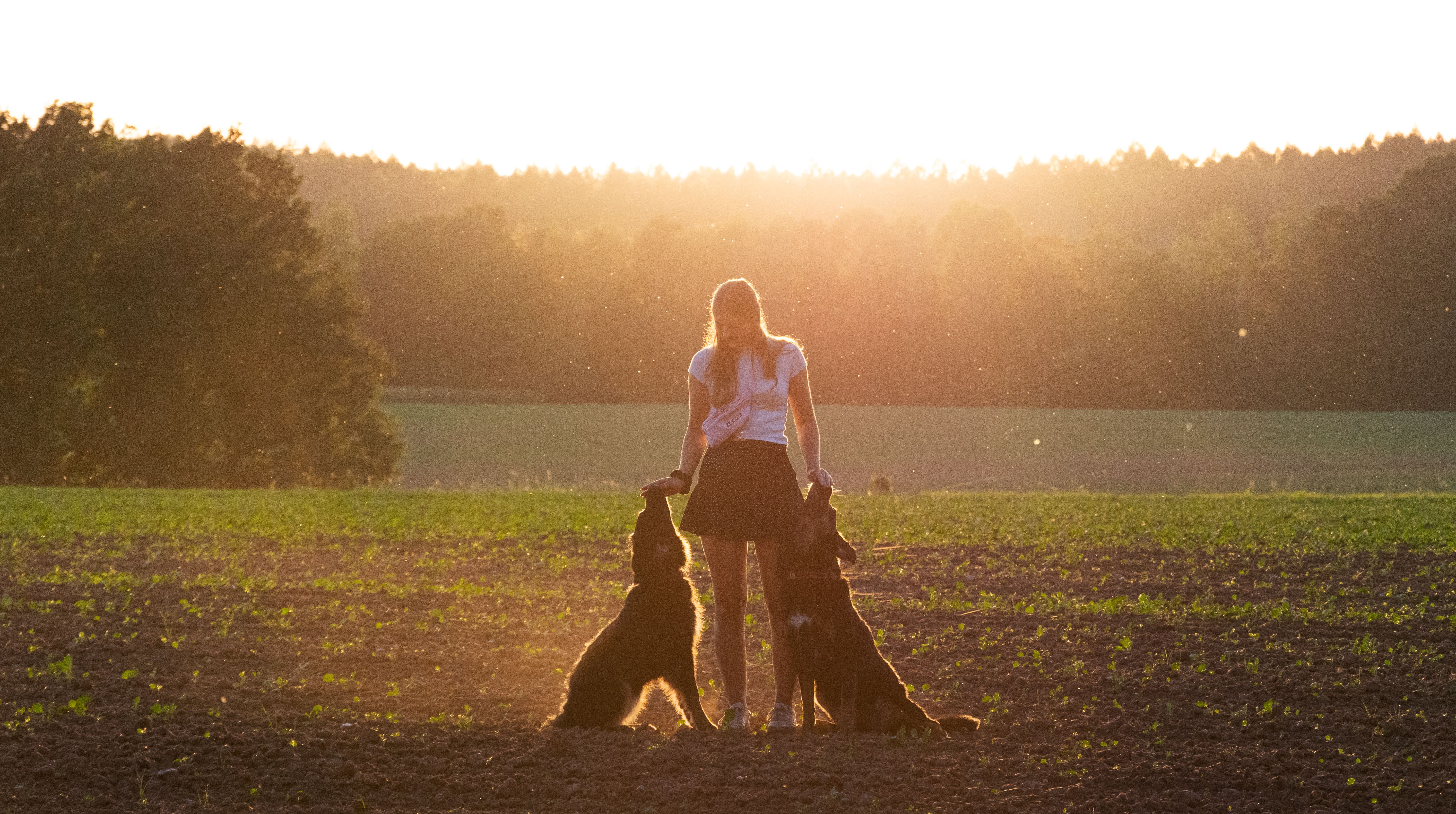 Beautiful Girl Dog Photos, Download The BEST Free Beautiful Girl Dog ...