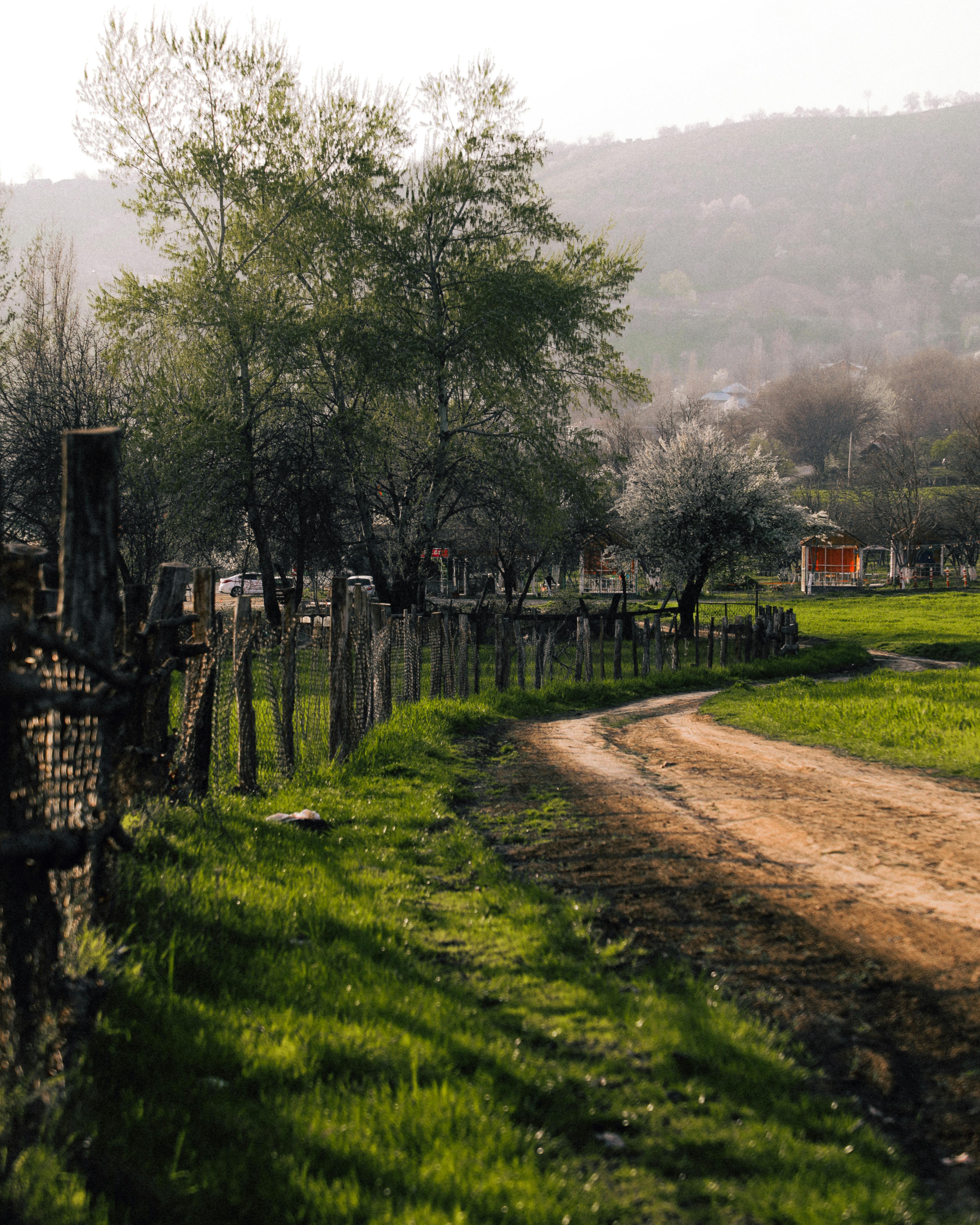 Rural Landscape with Wooden Fence and Bushes · Free Stock Photo