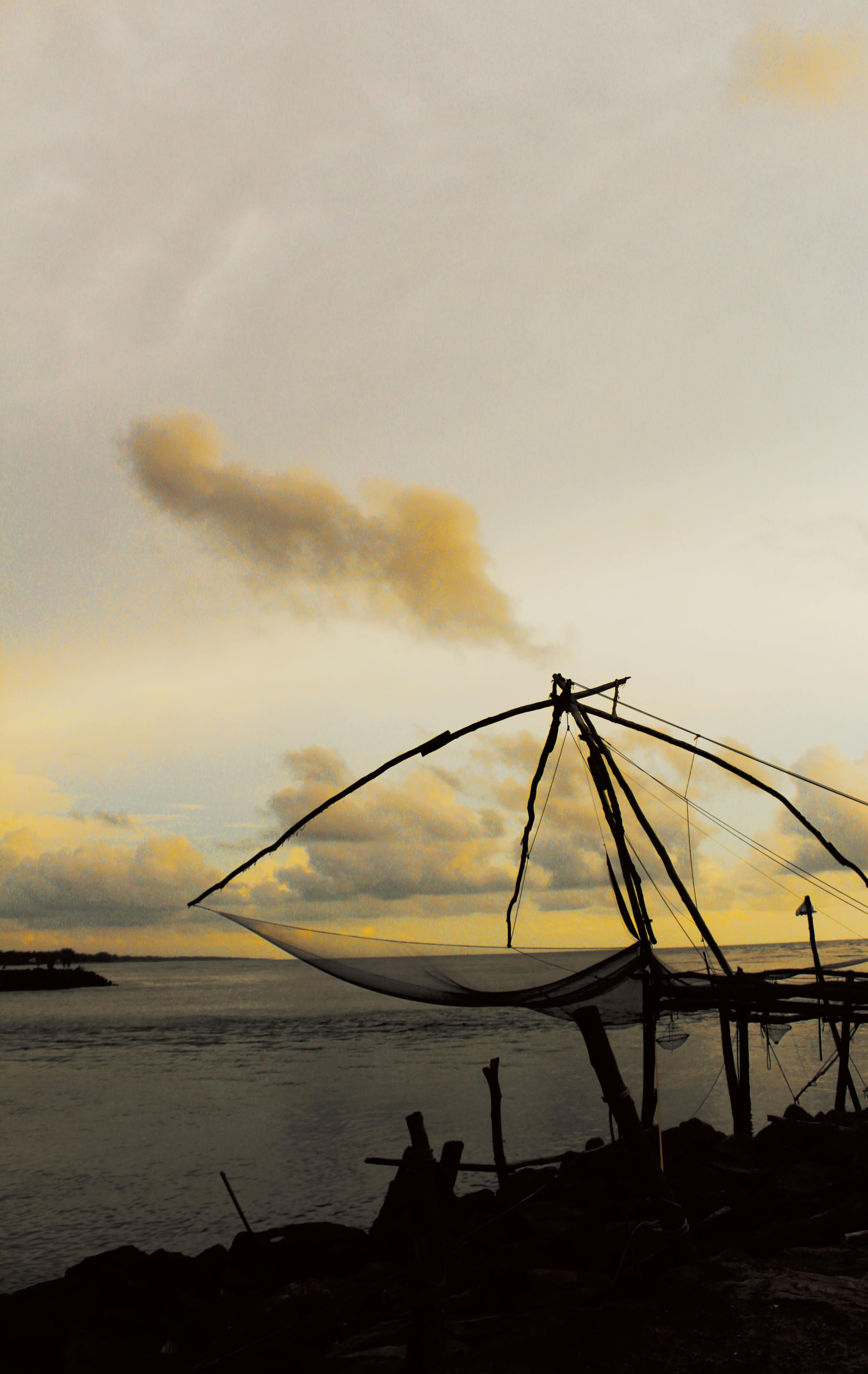 David Vinson - 写真