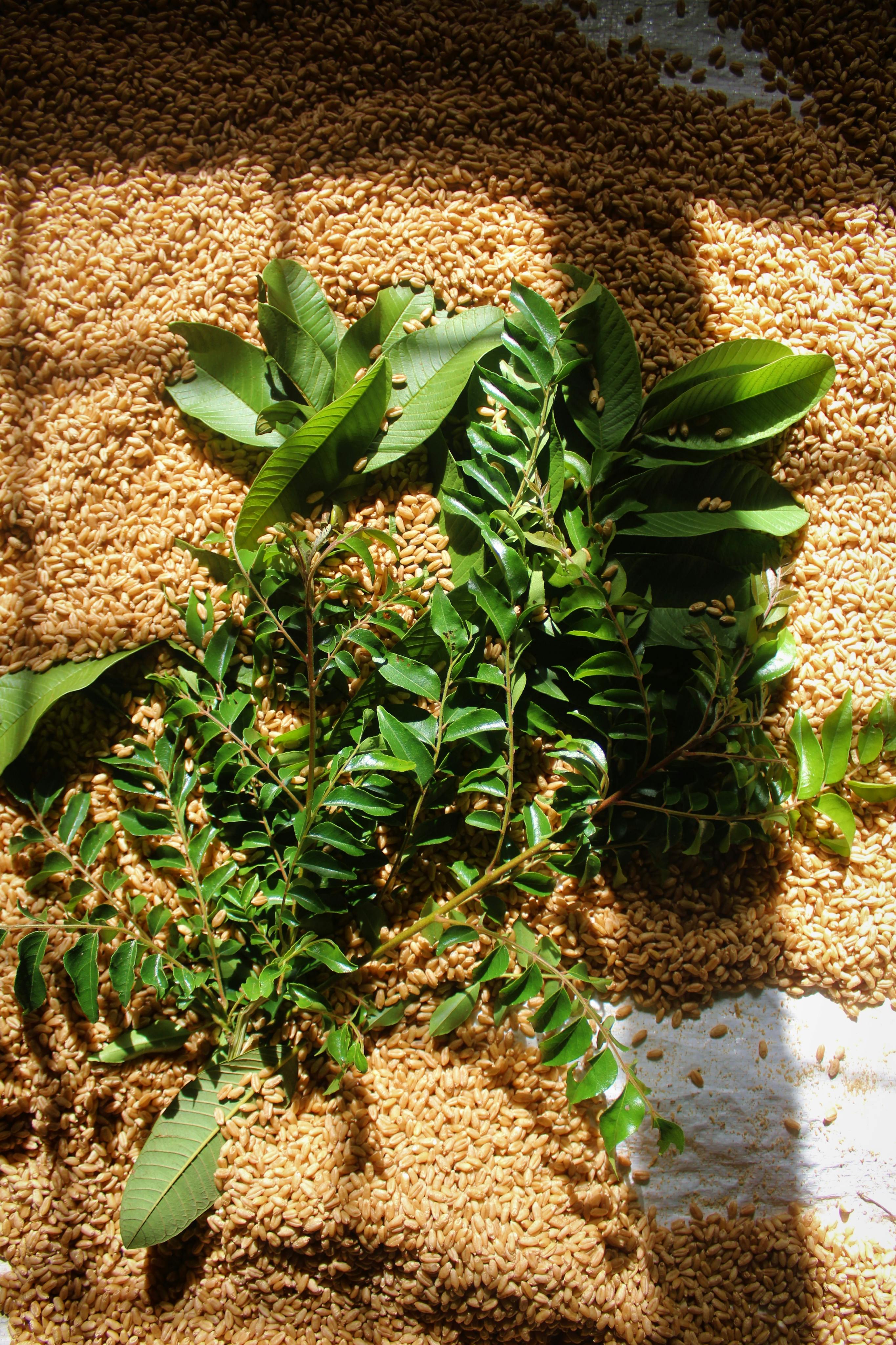 David Vinson - 写真