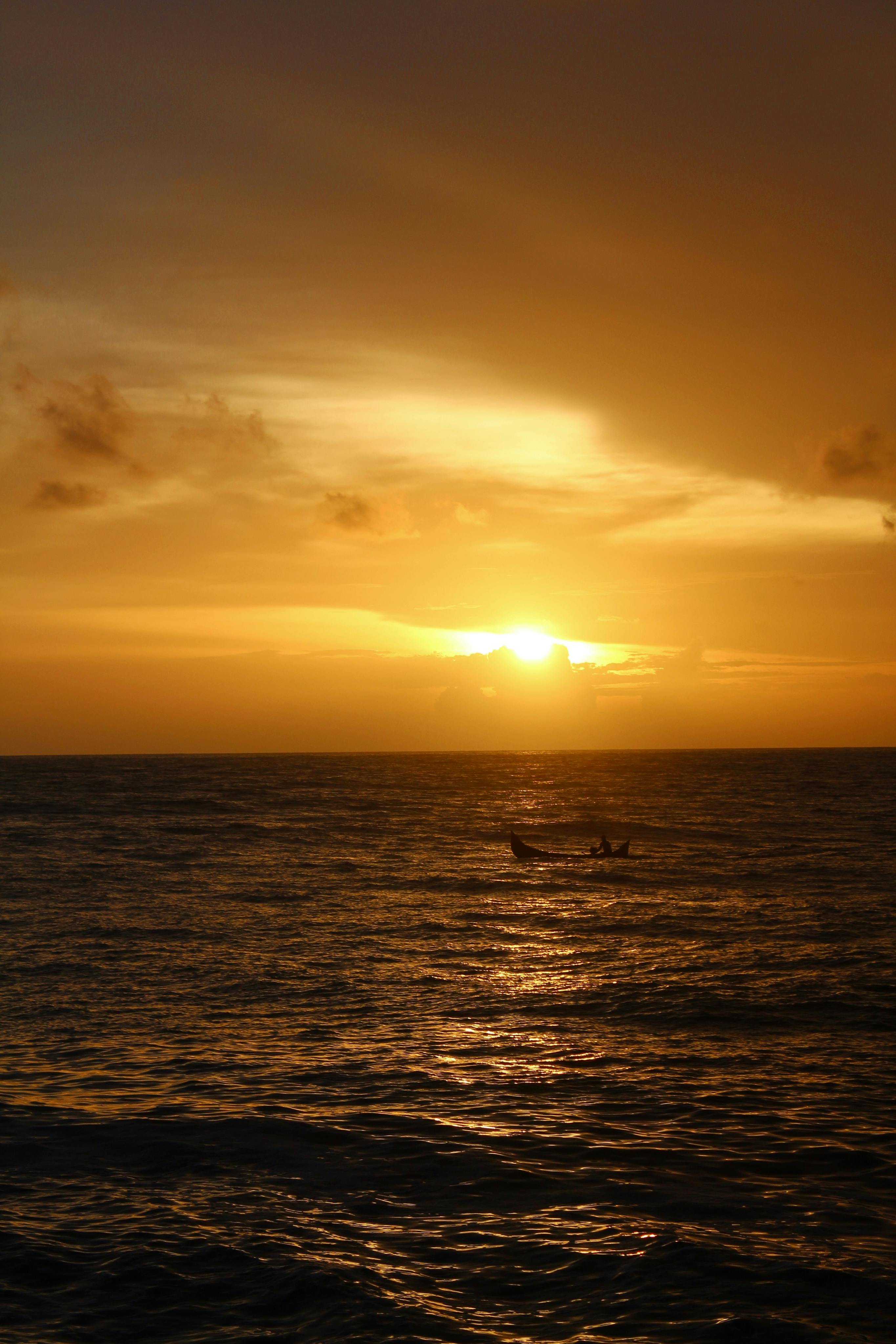 David Vinson - 写真