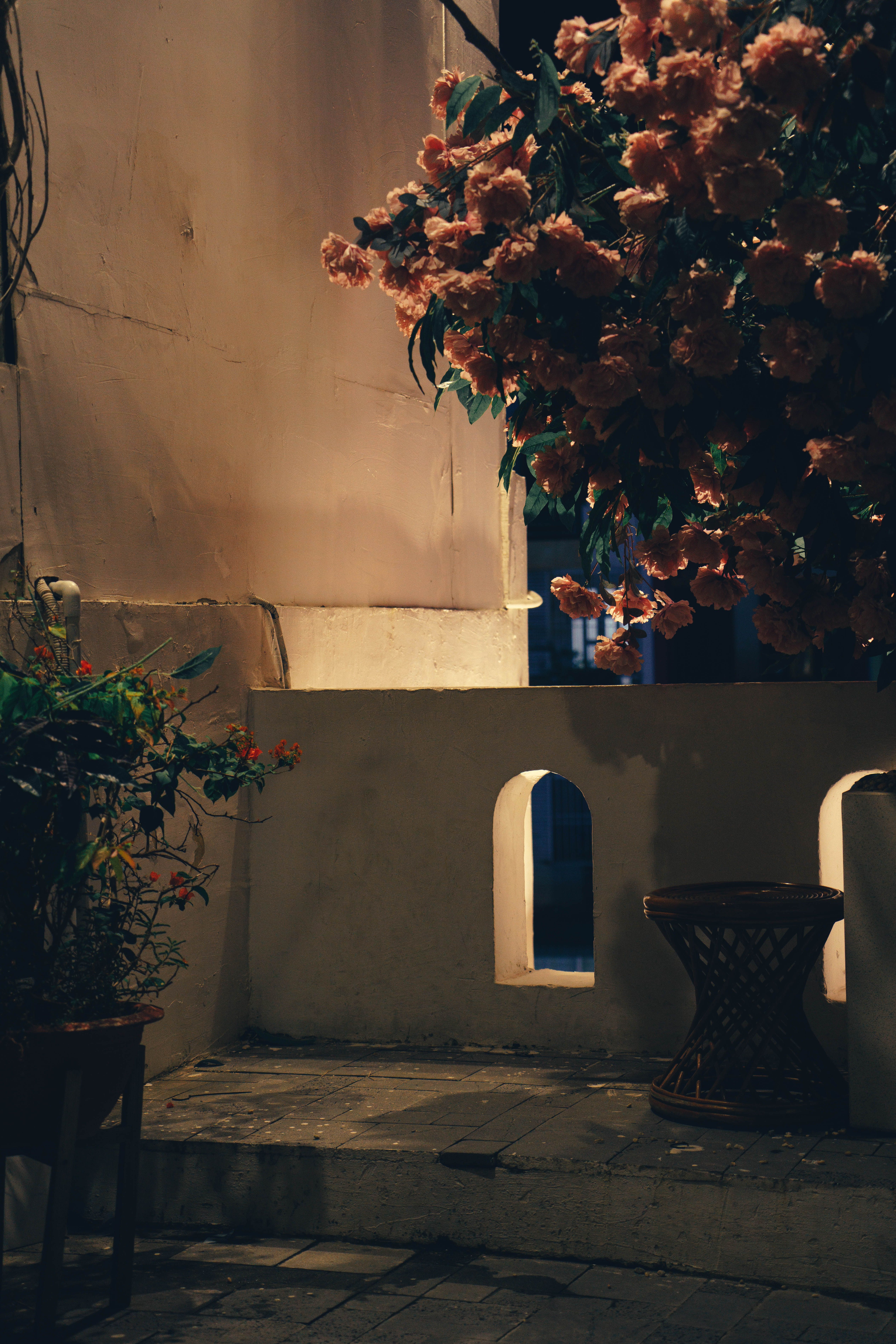 Whitewash Building Exterior and Flowers · Free Stock Photo