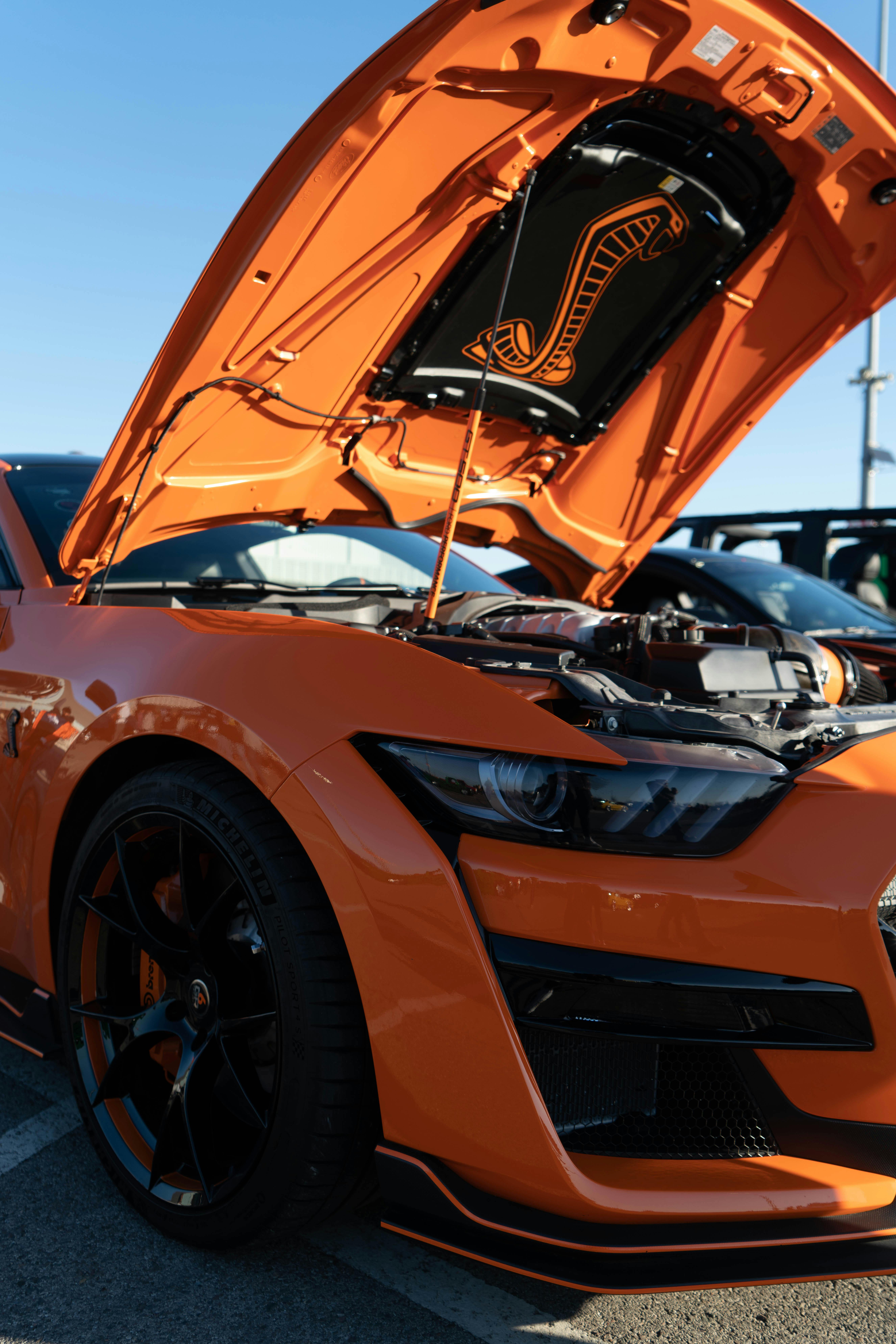 Engine of Fast Car · Free Stock Photo